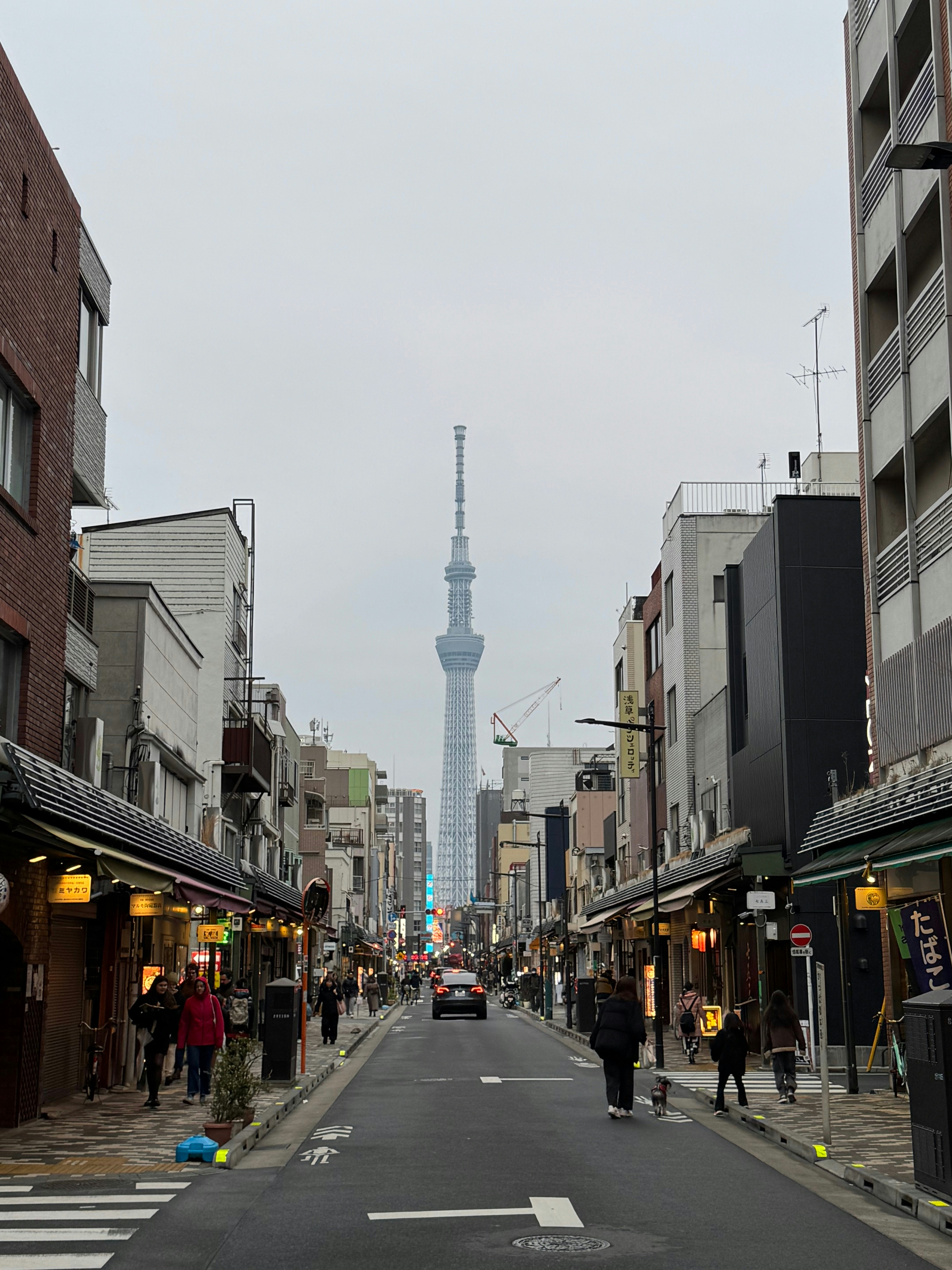 Urban Perspectives: A Glimpse of Tokyo's Skyline