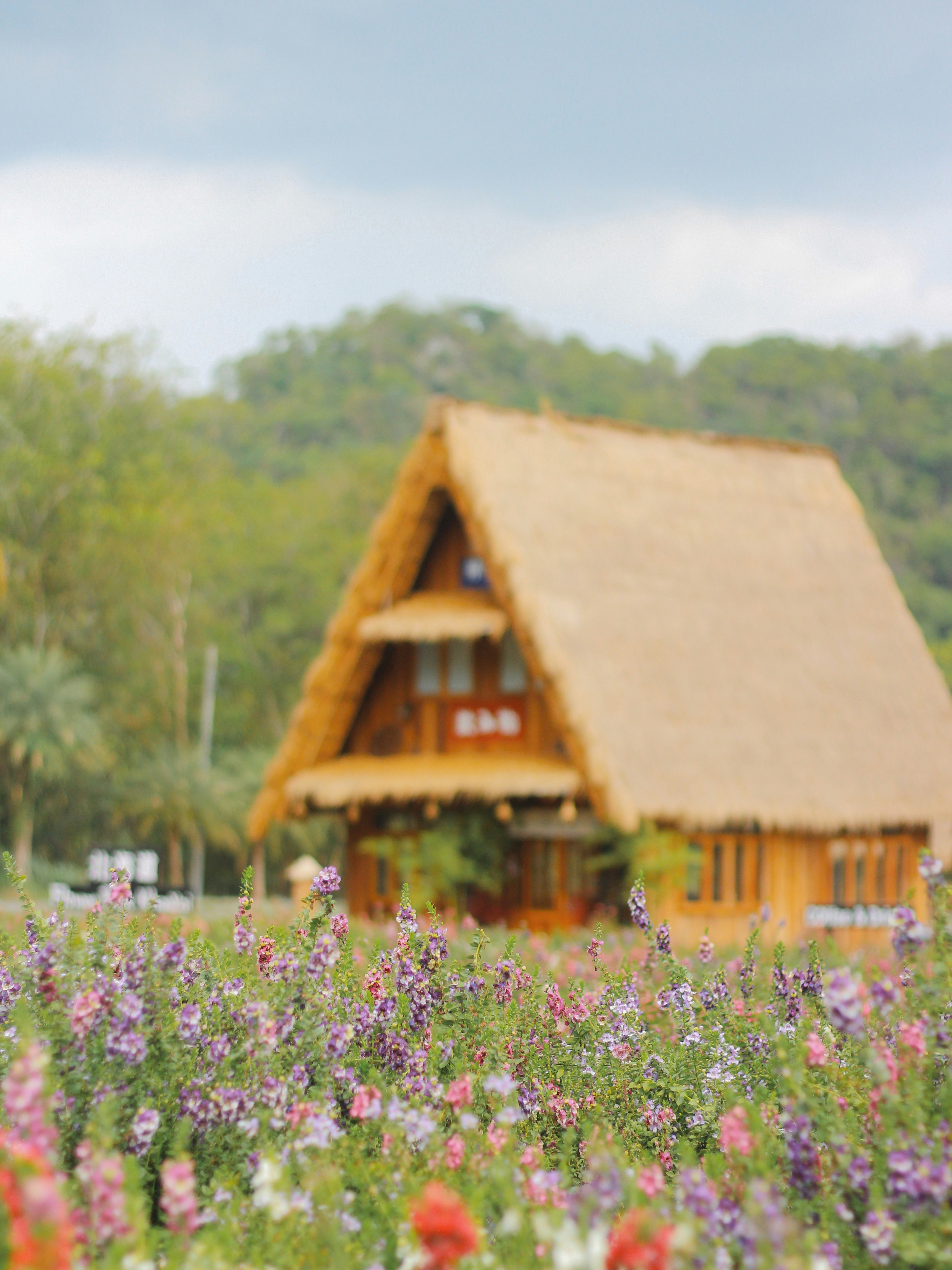 Whimsical Retreat Amidst Floral Splendor