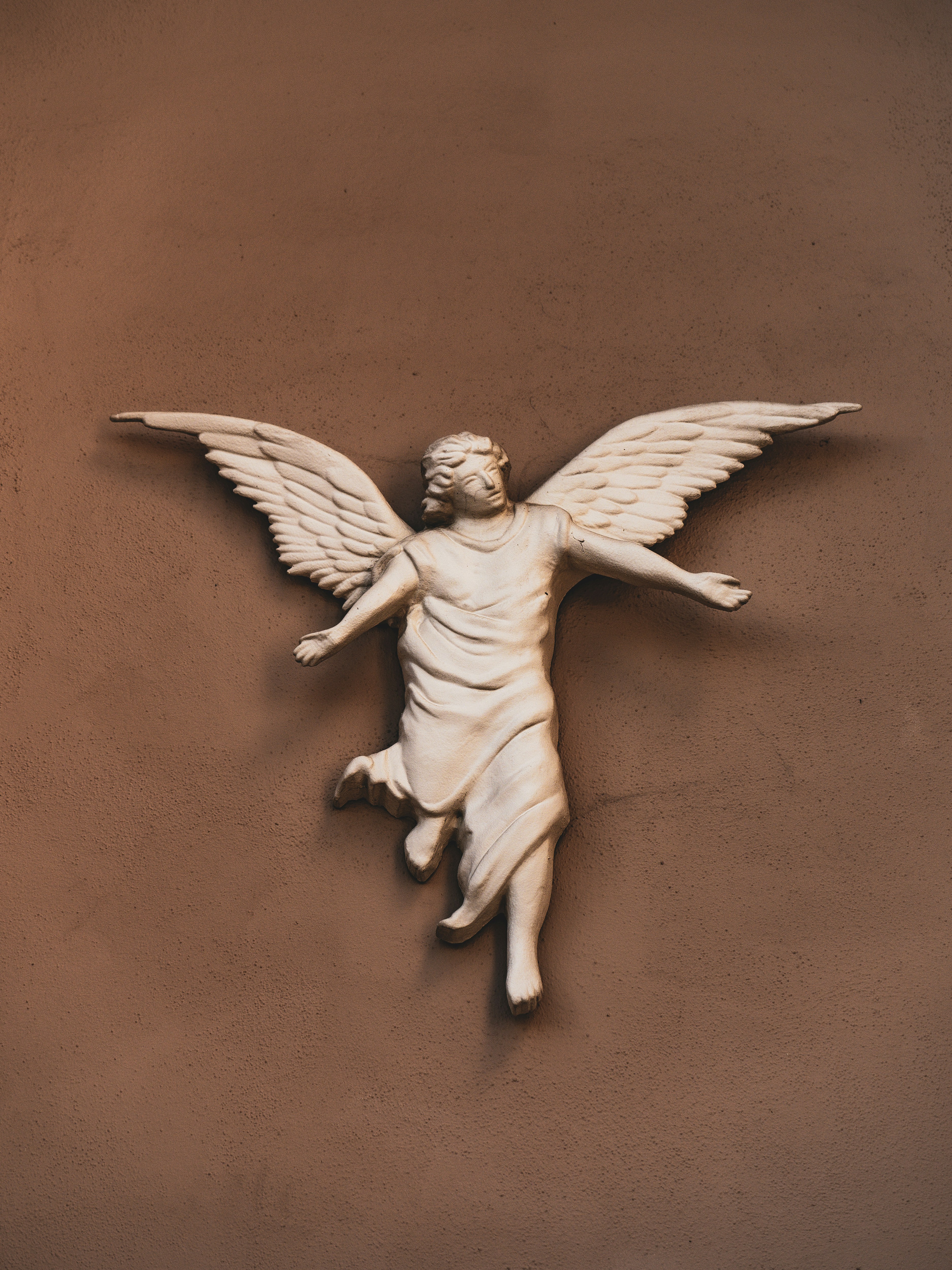 The Celestial Guardian in Flight