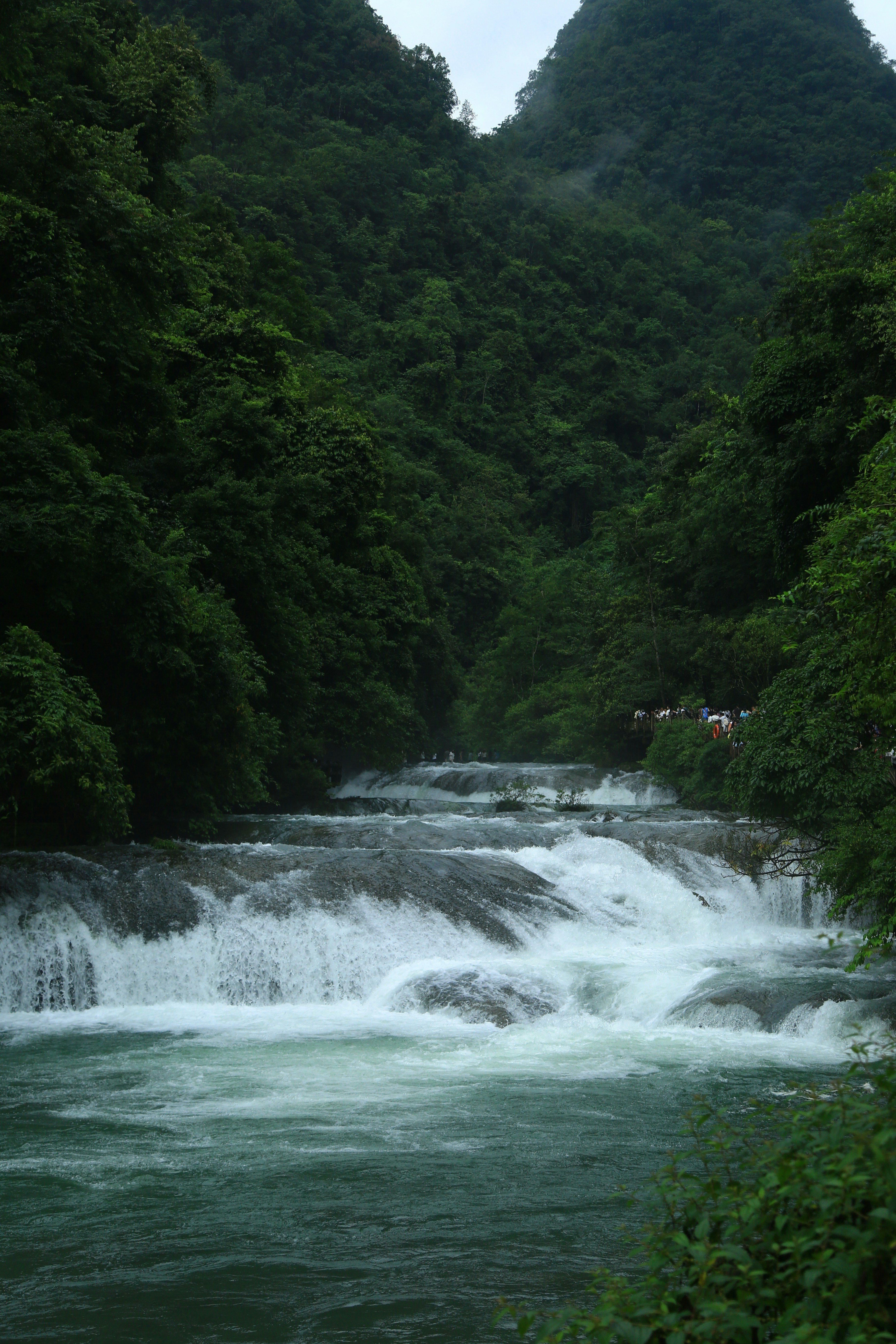 Cascading waterfall flowing through lush green forest