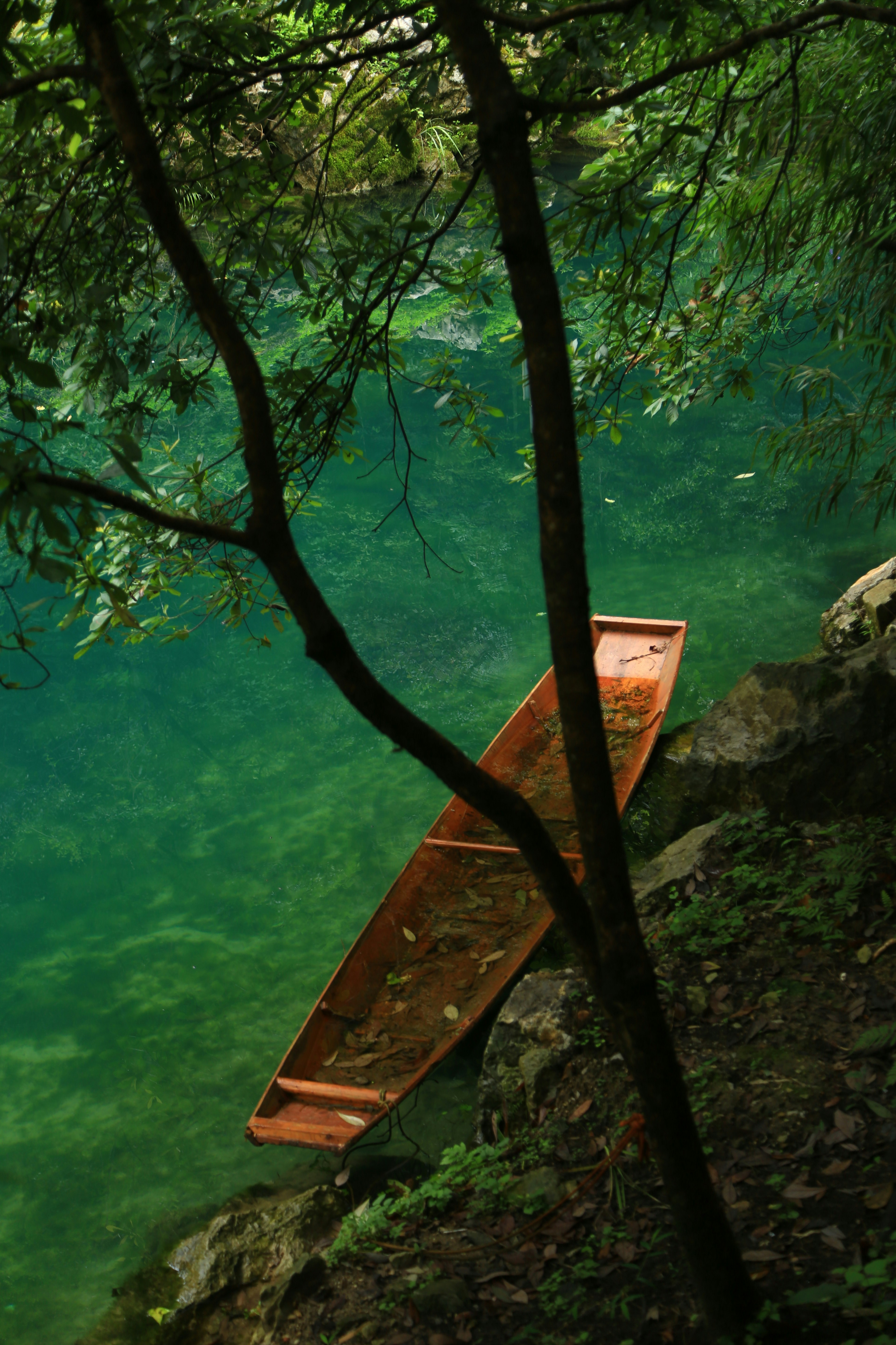 Serenity on the Water’s Edge