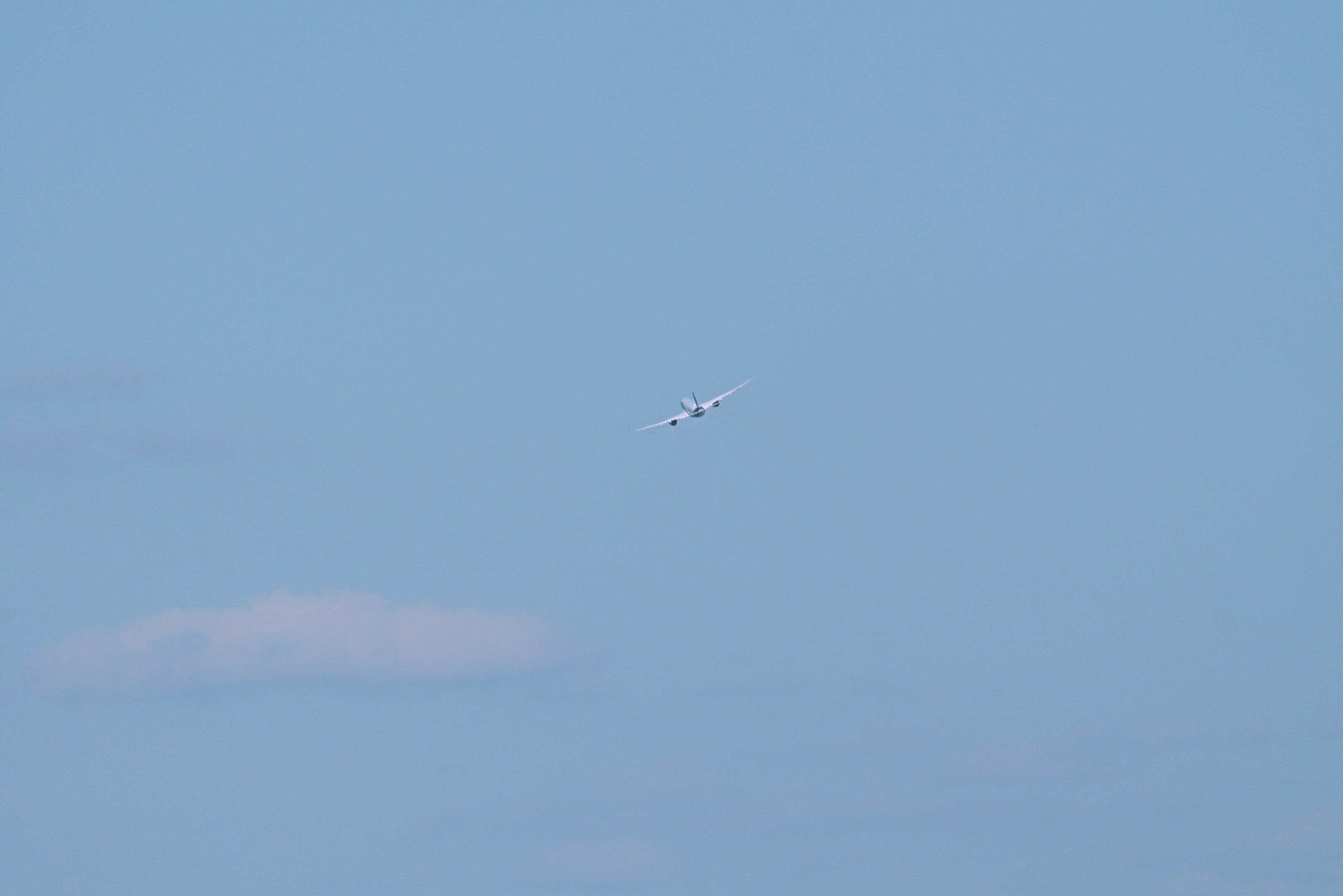 Aerial Dance: The Grace of Flight
