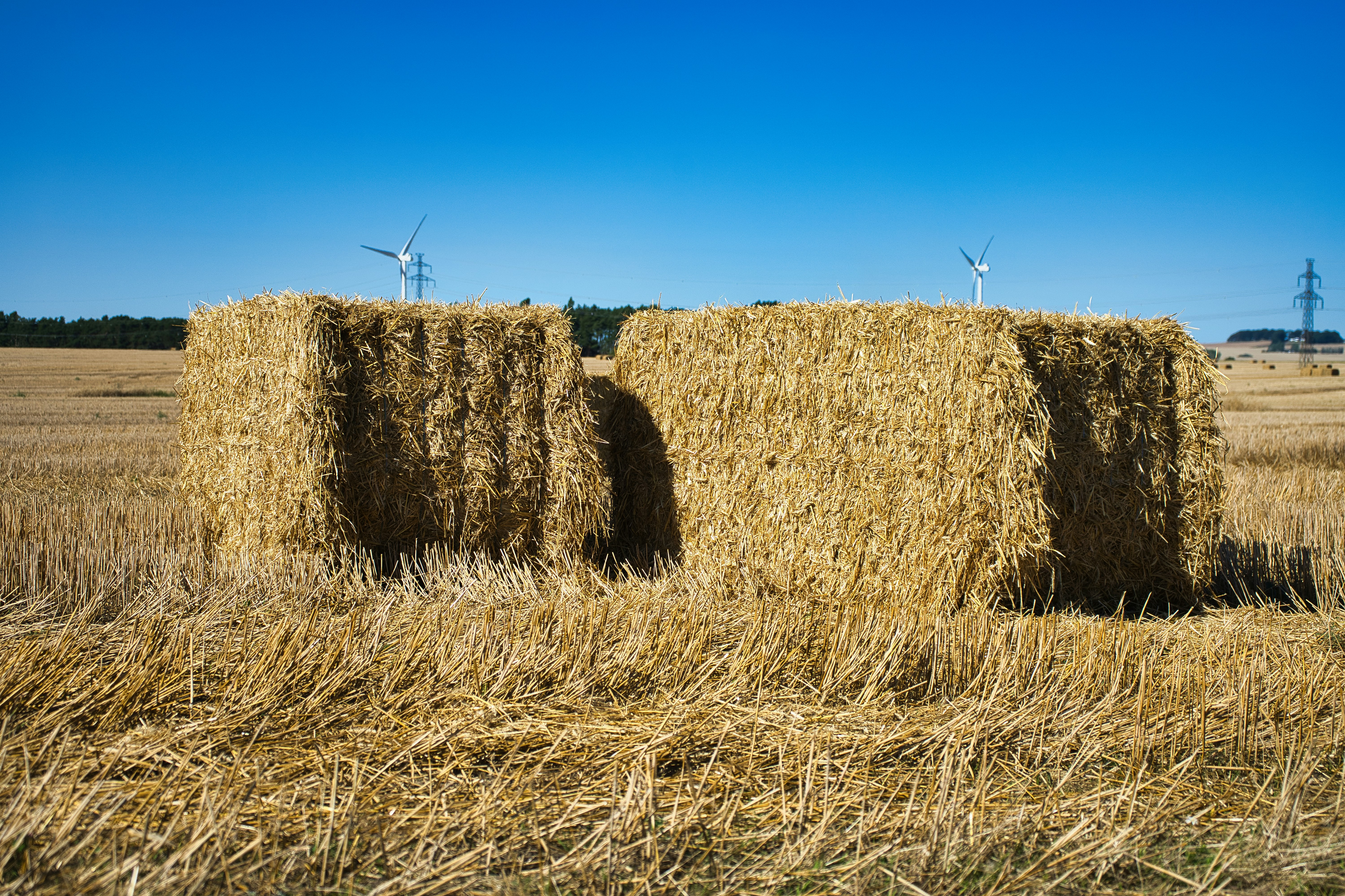 Straw bales | Two rectangular hay bales in a harvested field.