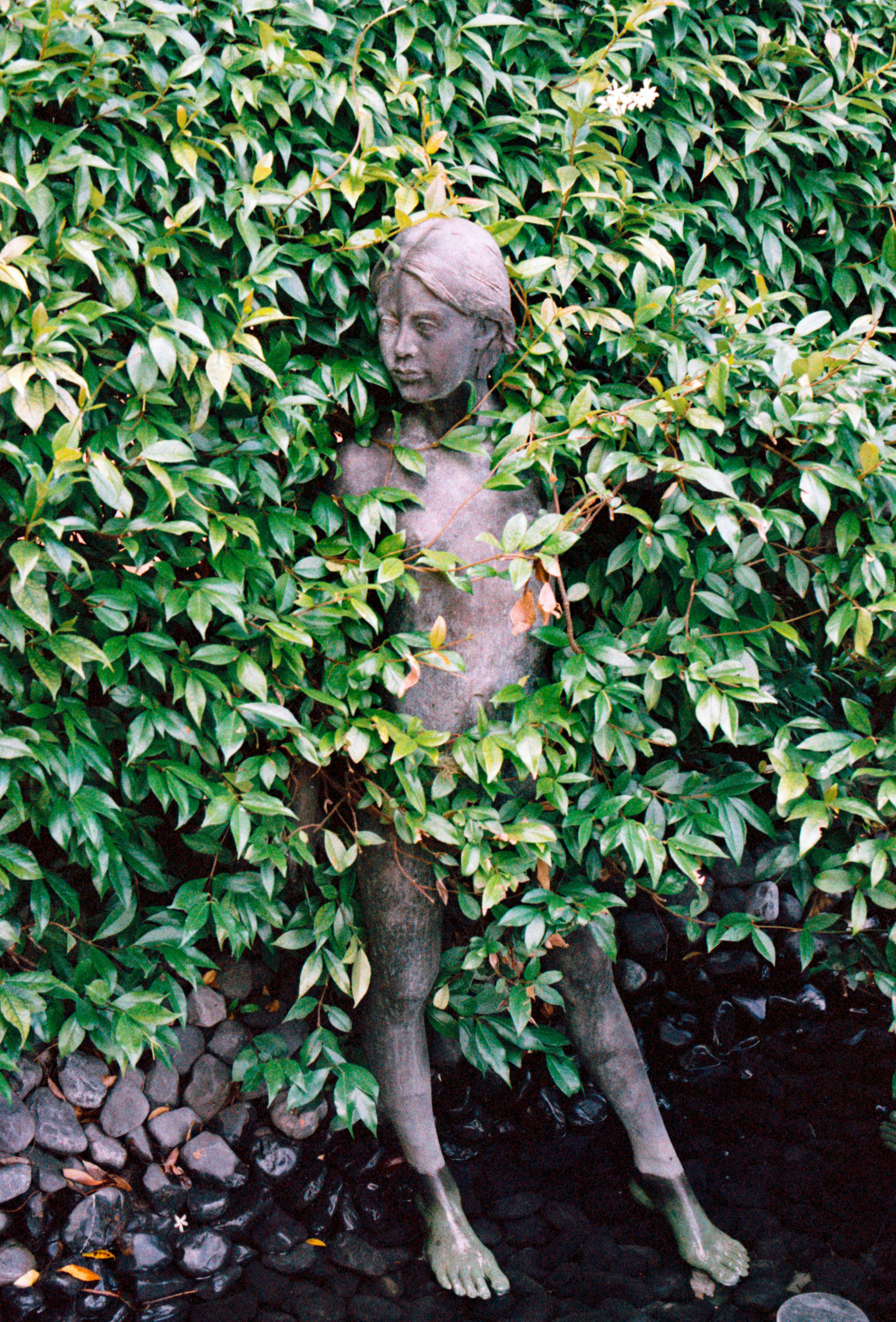 Statue of a girl partially hidden by green foliage.