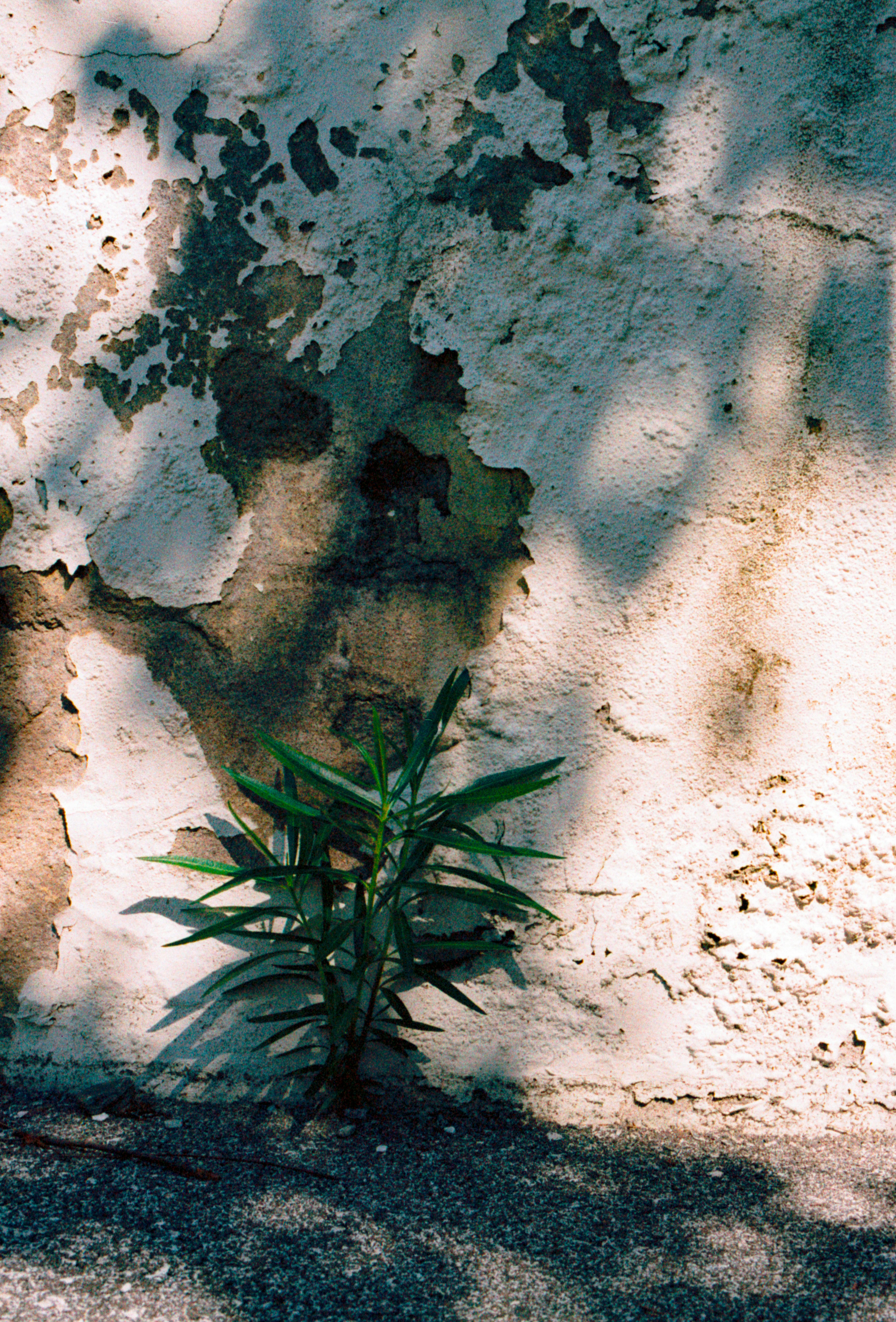 Resilience in Texture
