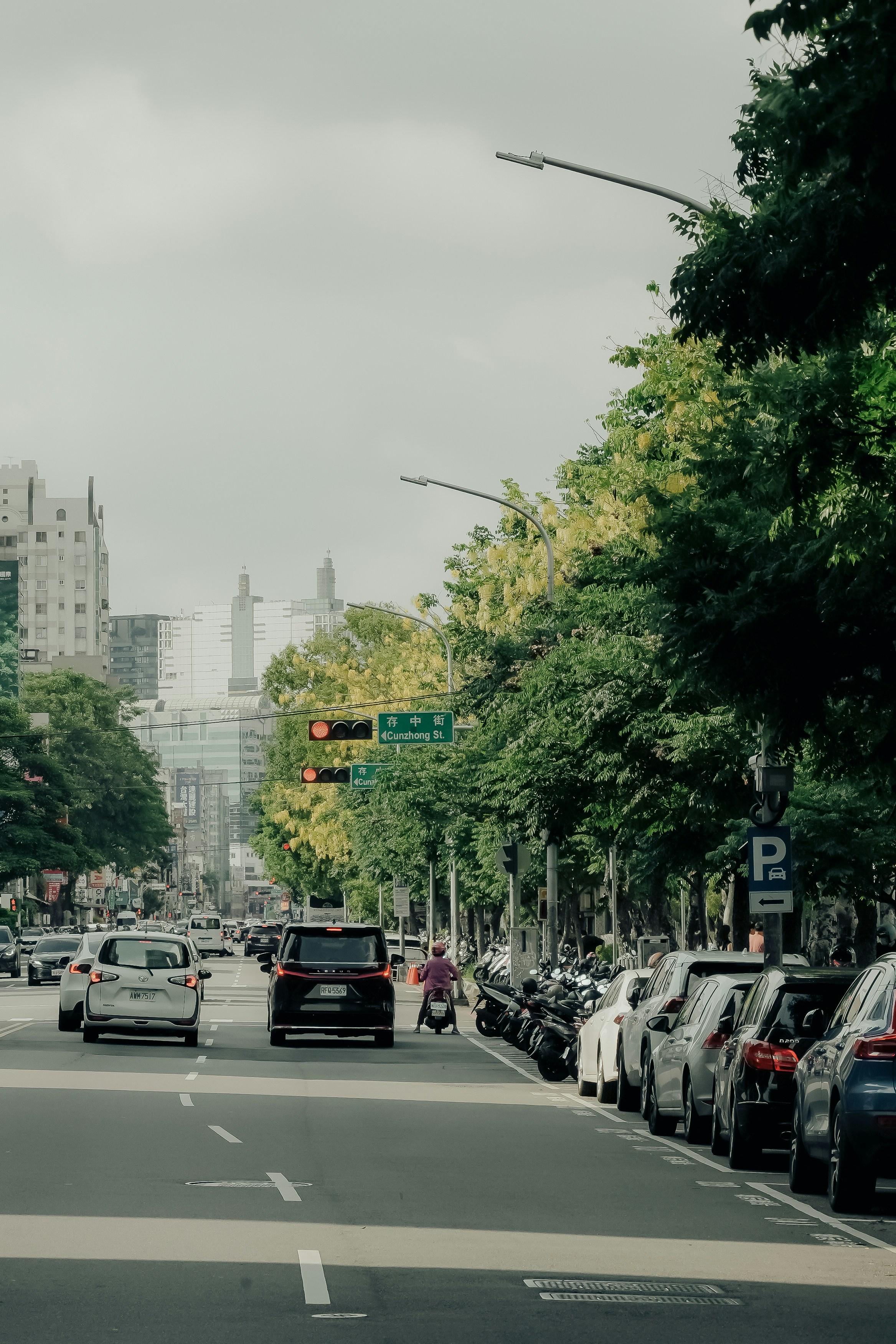 Cars parked along a tree-lined city street.