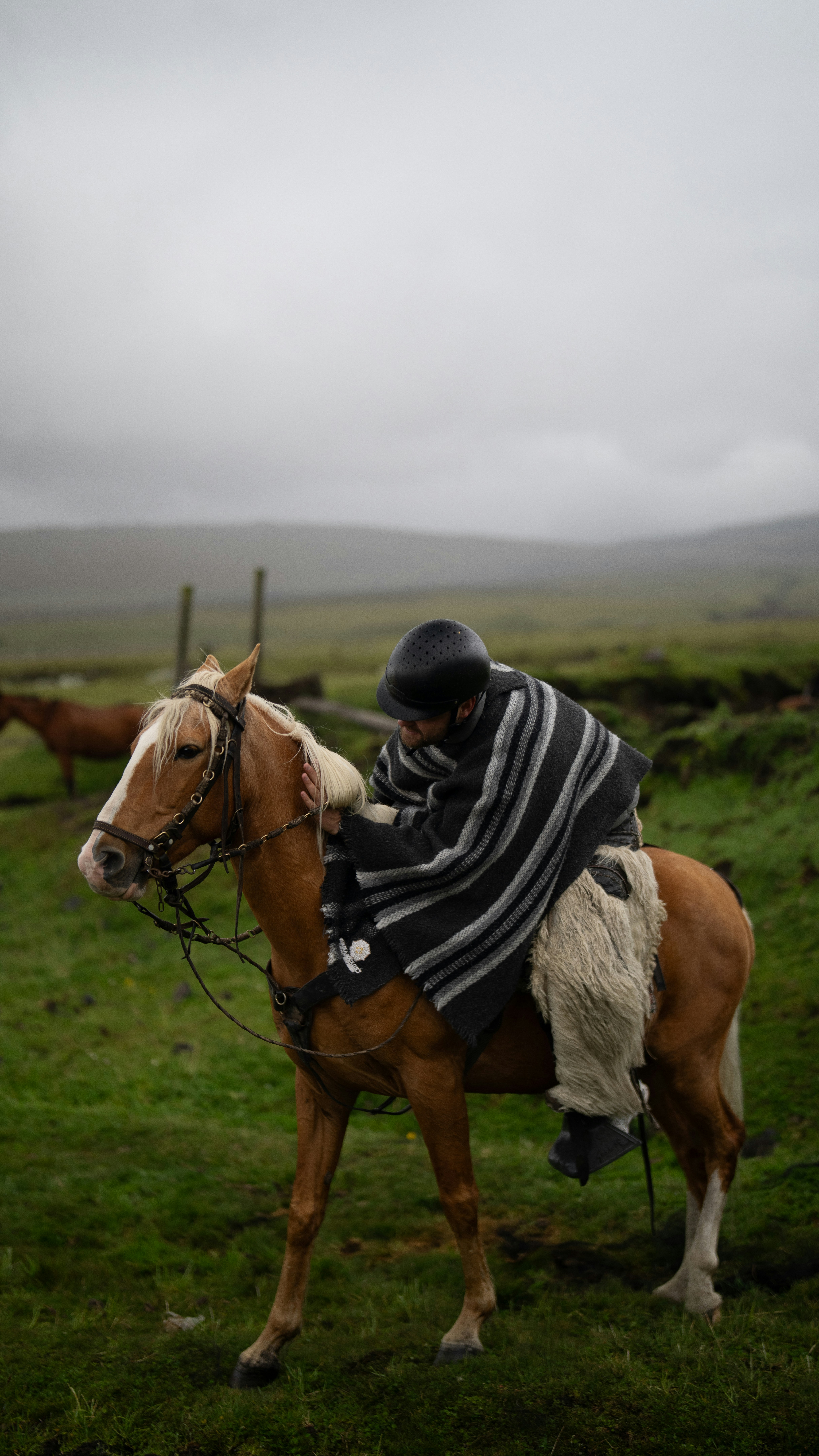 Moorland Embrace: Rider and Palomino in Grey Light