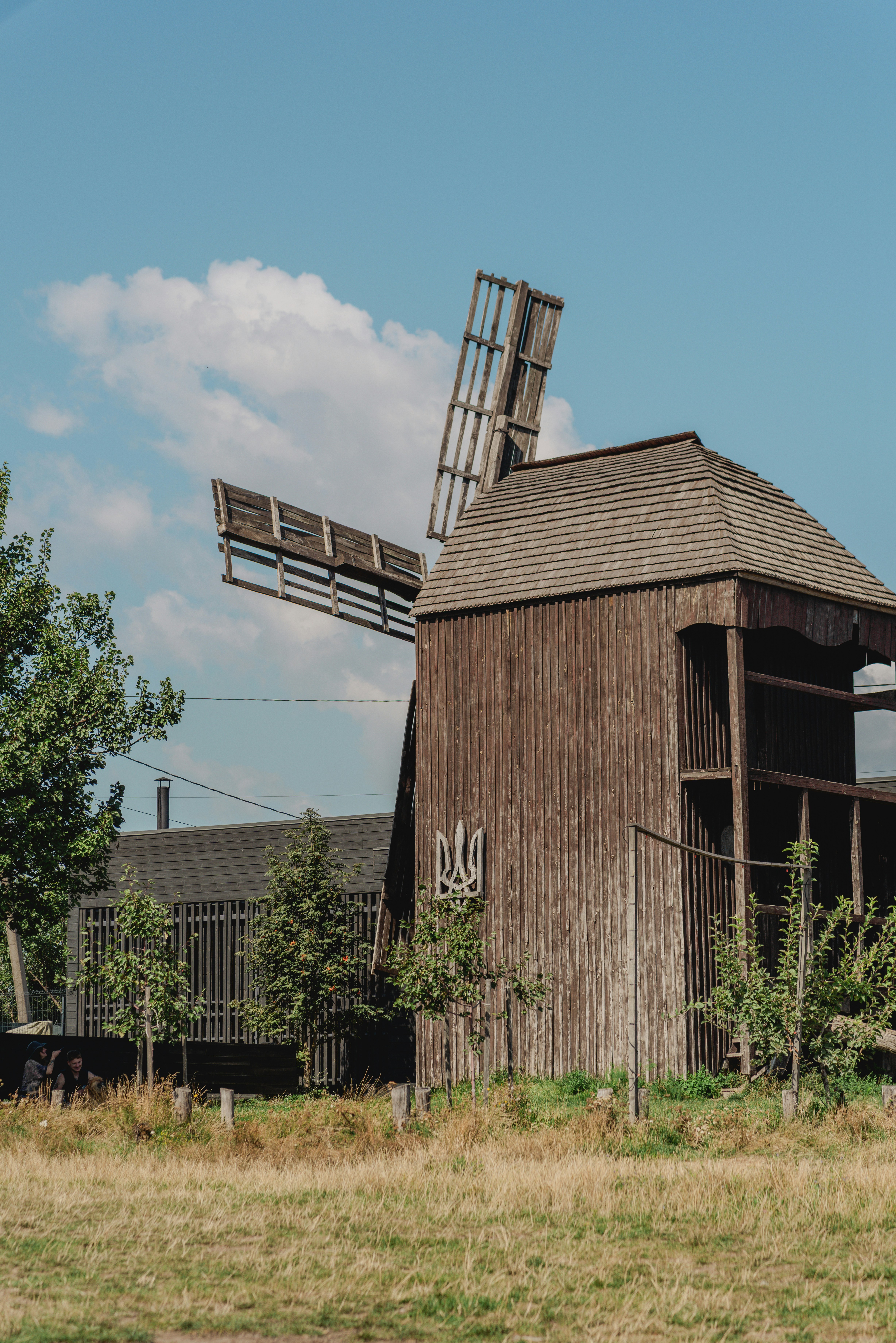 Old wooden windmill in a grassy field