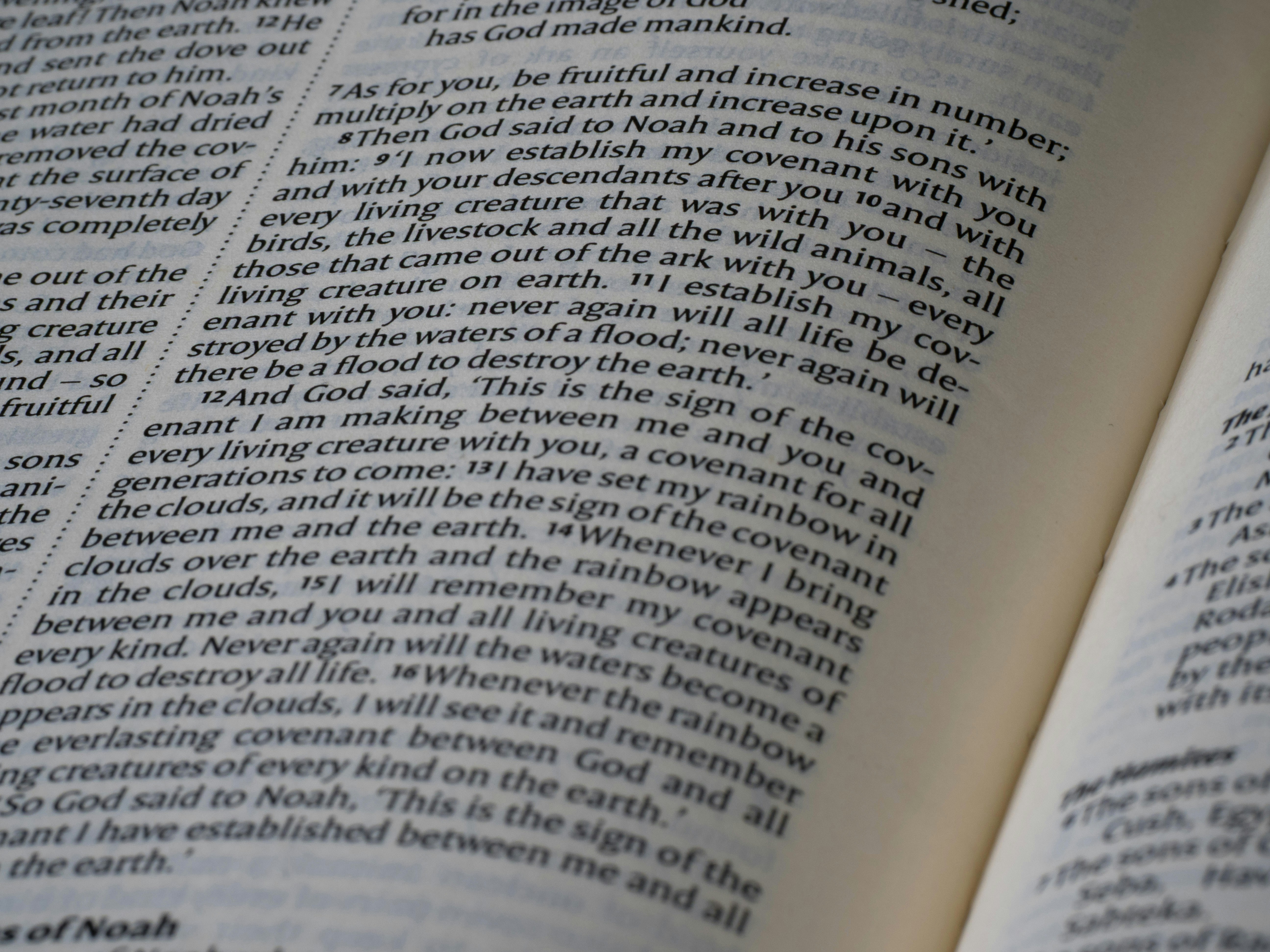 The Covenant of Noah: A Testament in Text