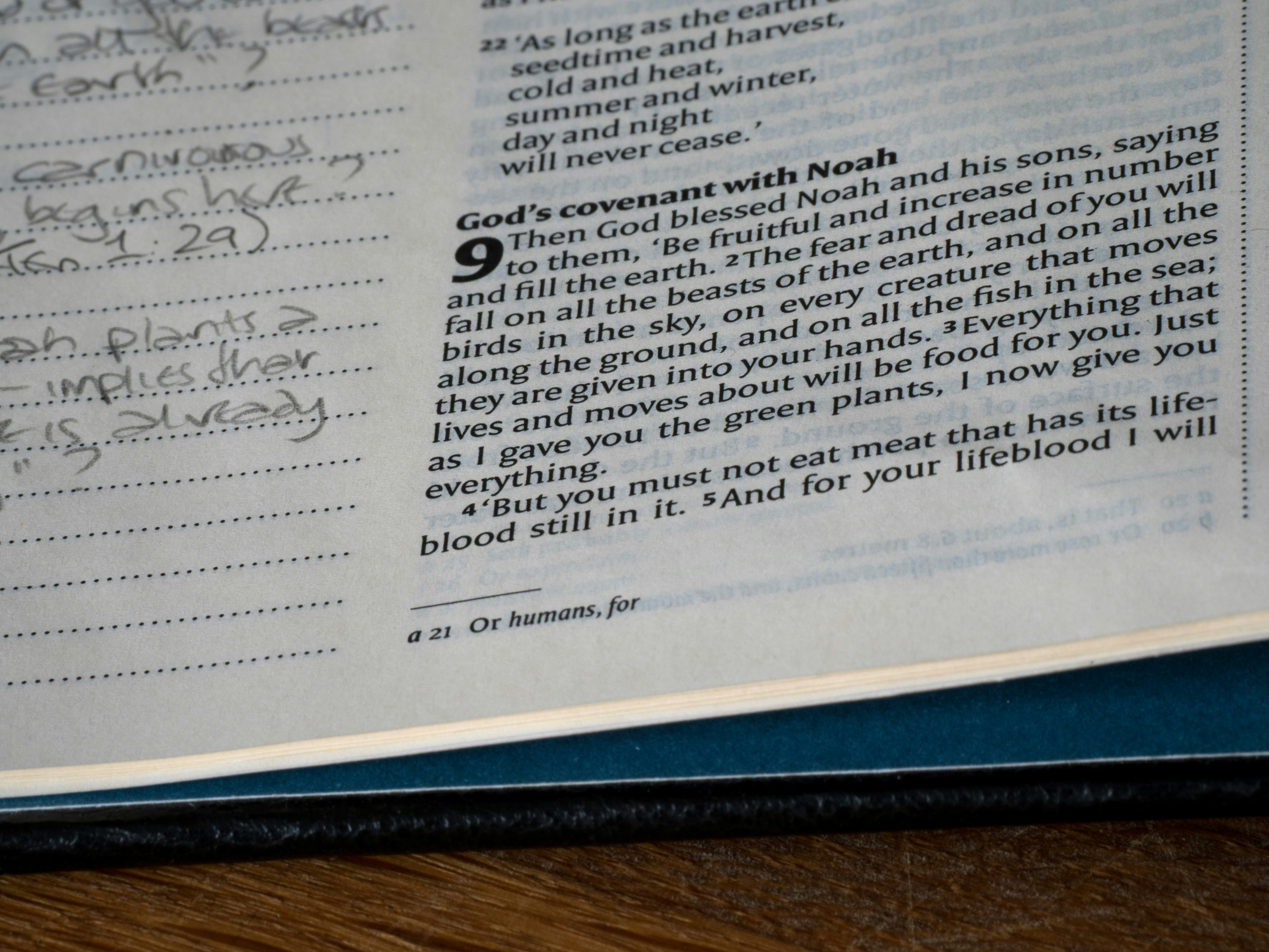 Close-up of an open book with handwritten notes. photo – Free Text ...