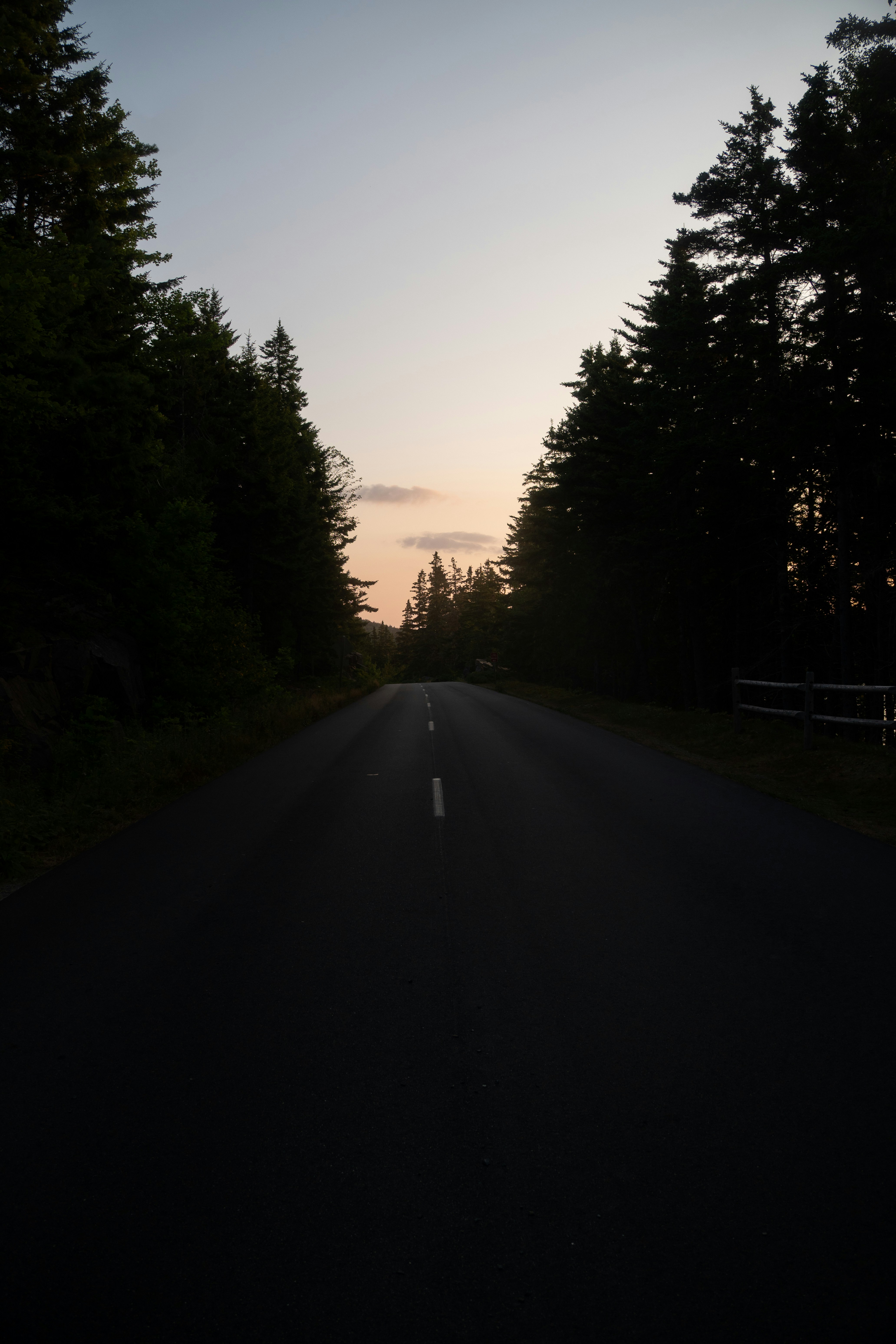 Empty road through dark forest at dusk