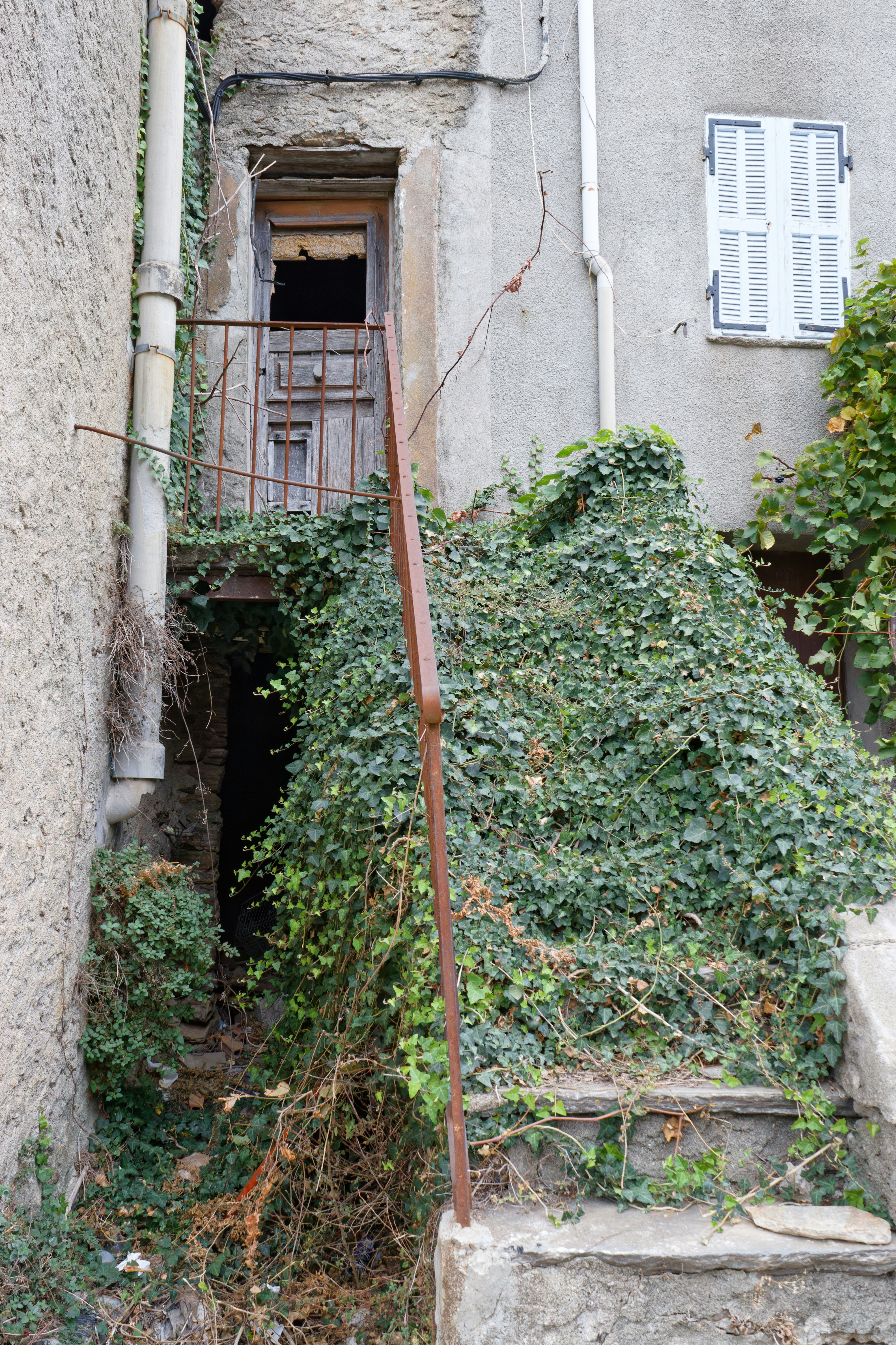 Overgrown Staircase to a Forgotten Doorway