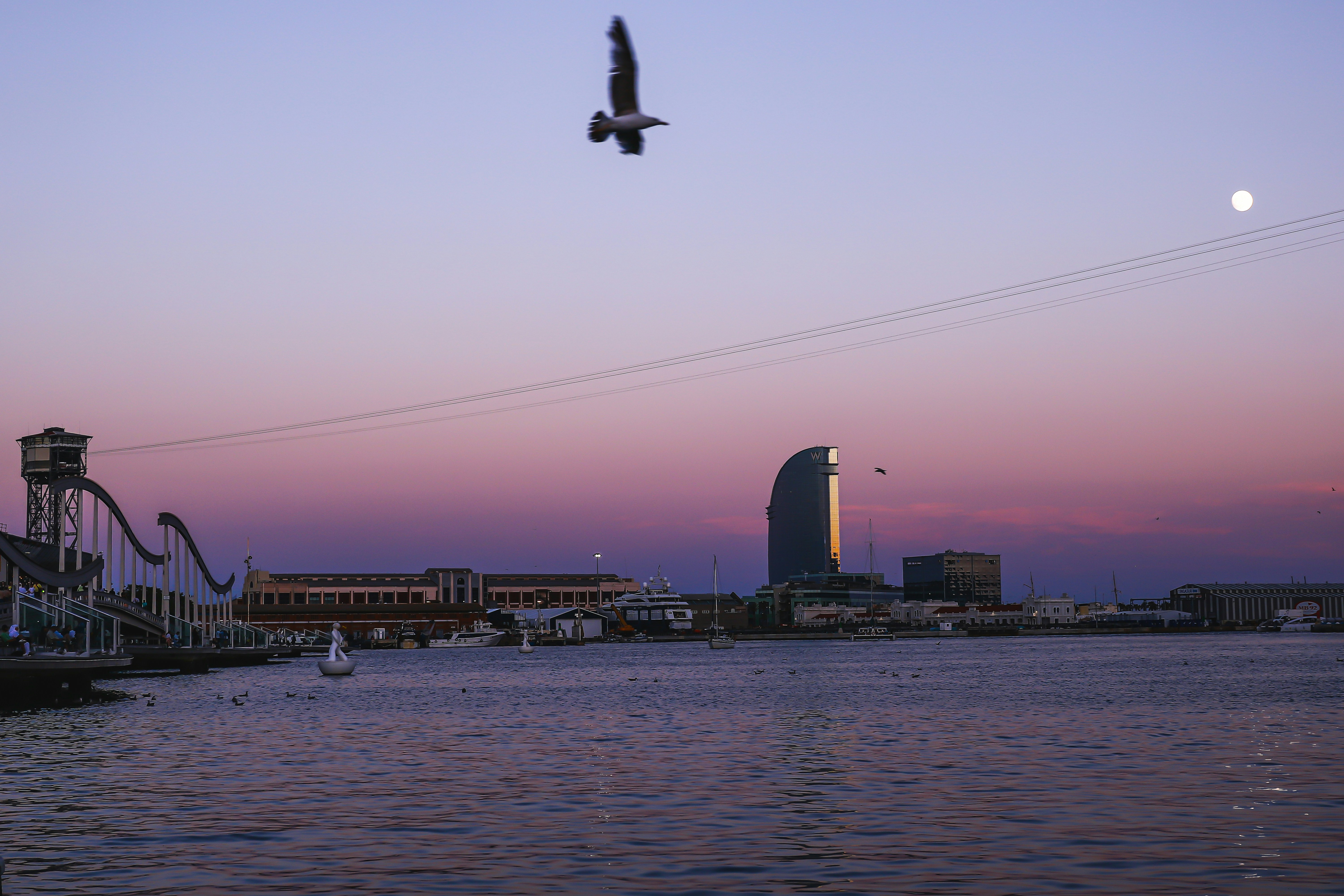 Seagull flying over Barcelona’s harbor at twilight, with the W Hotel and moon glowing against a purple-pink sky. | Seagull flies over city skyline at sunset