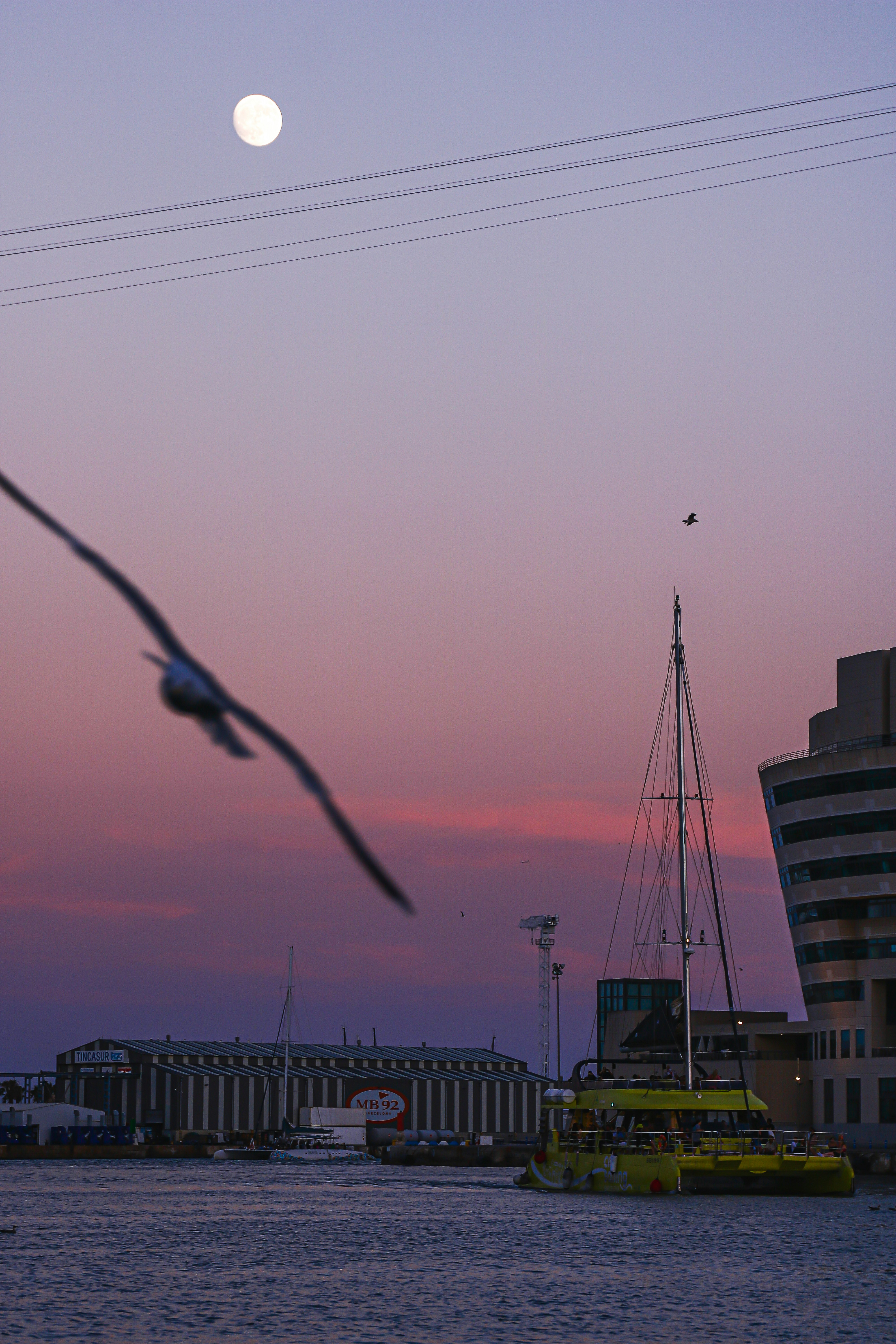 A photo from my trip to Barcelona in July 2023 . | Seagull flies over harbor at sunset with moon.