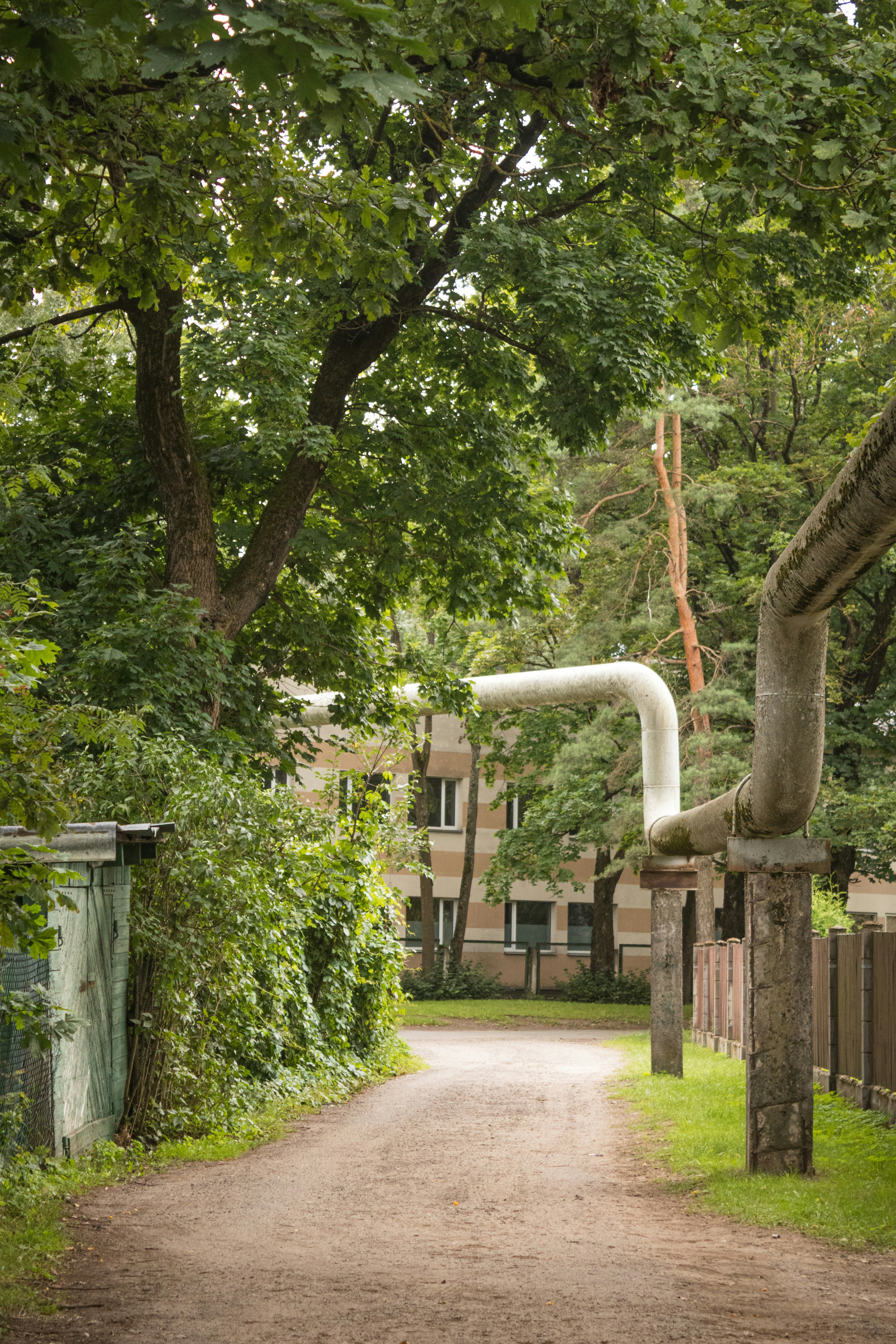 Urban Nature's Embrace: Pipes and Pathways