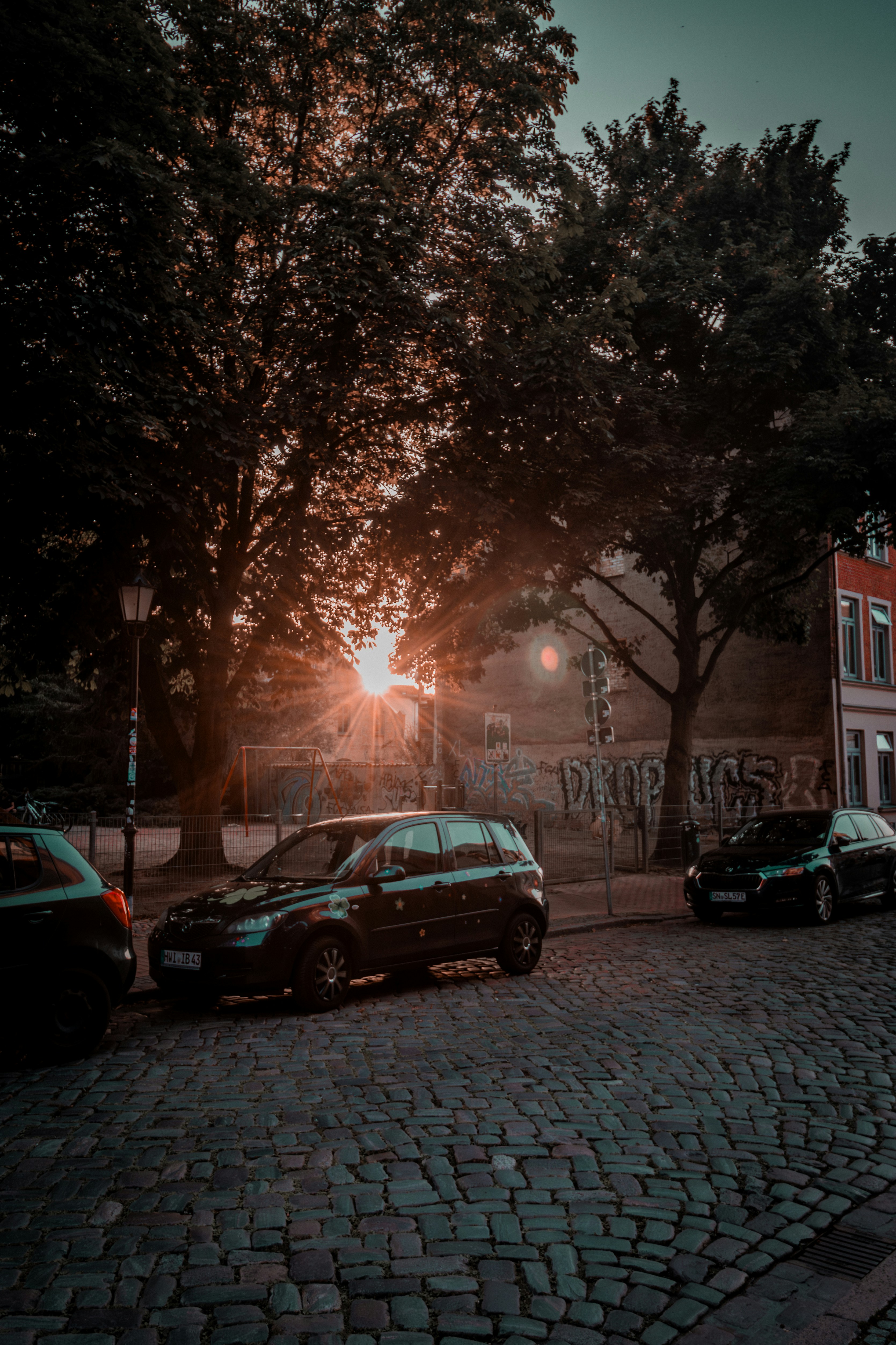 Cars parked on cobblestone street at sunset
