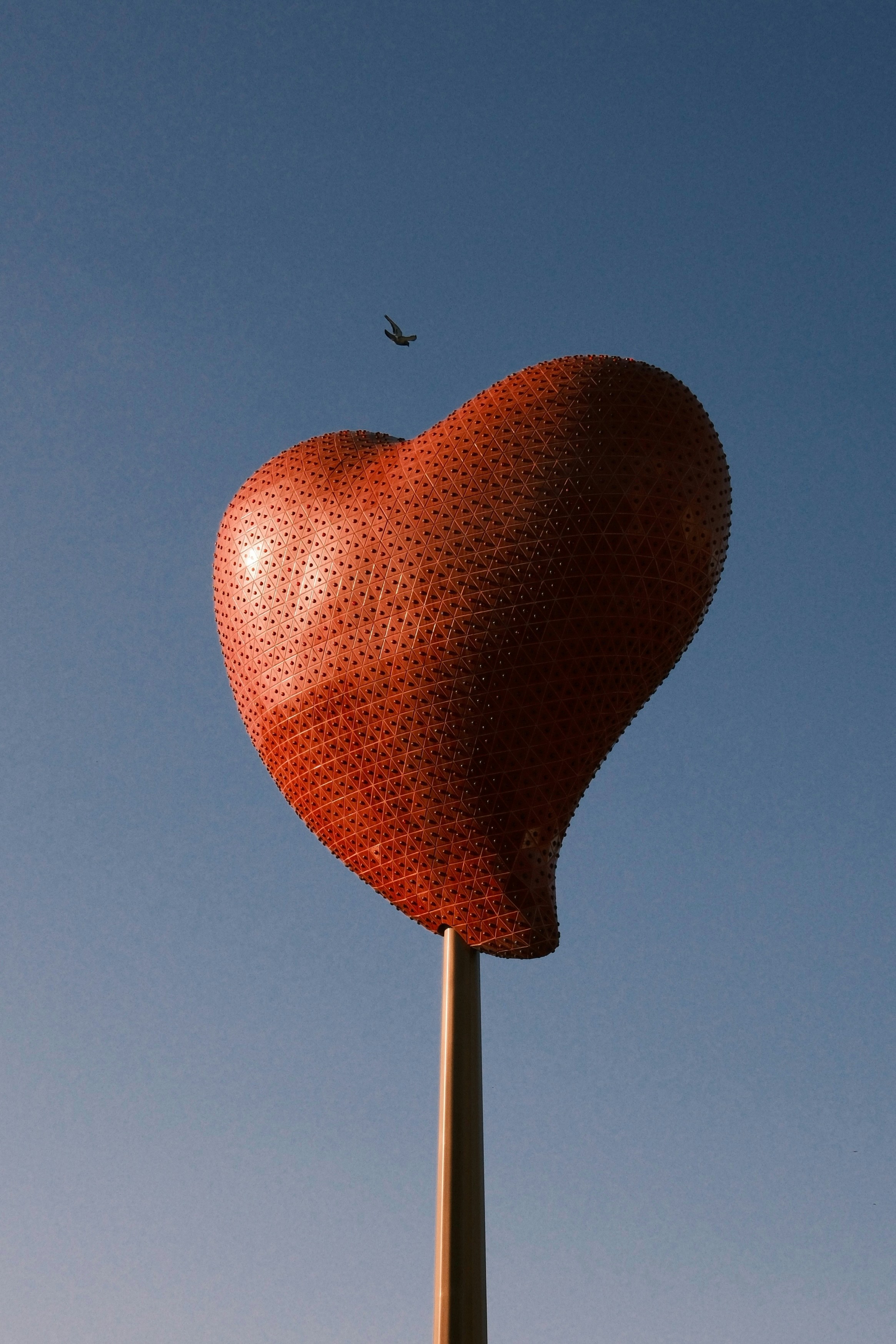A Heartfelt Connection: Art in the Sky