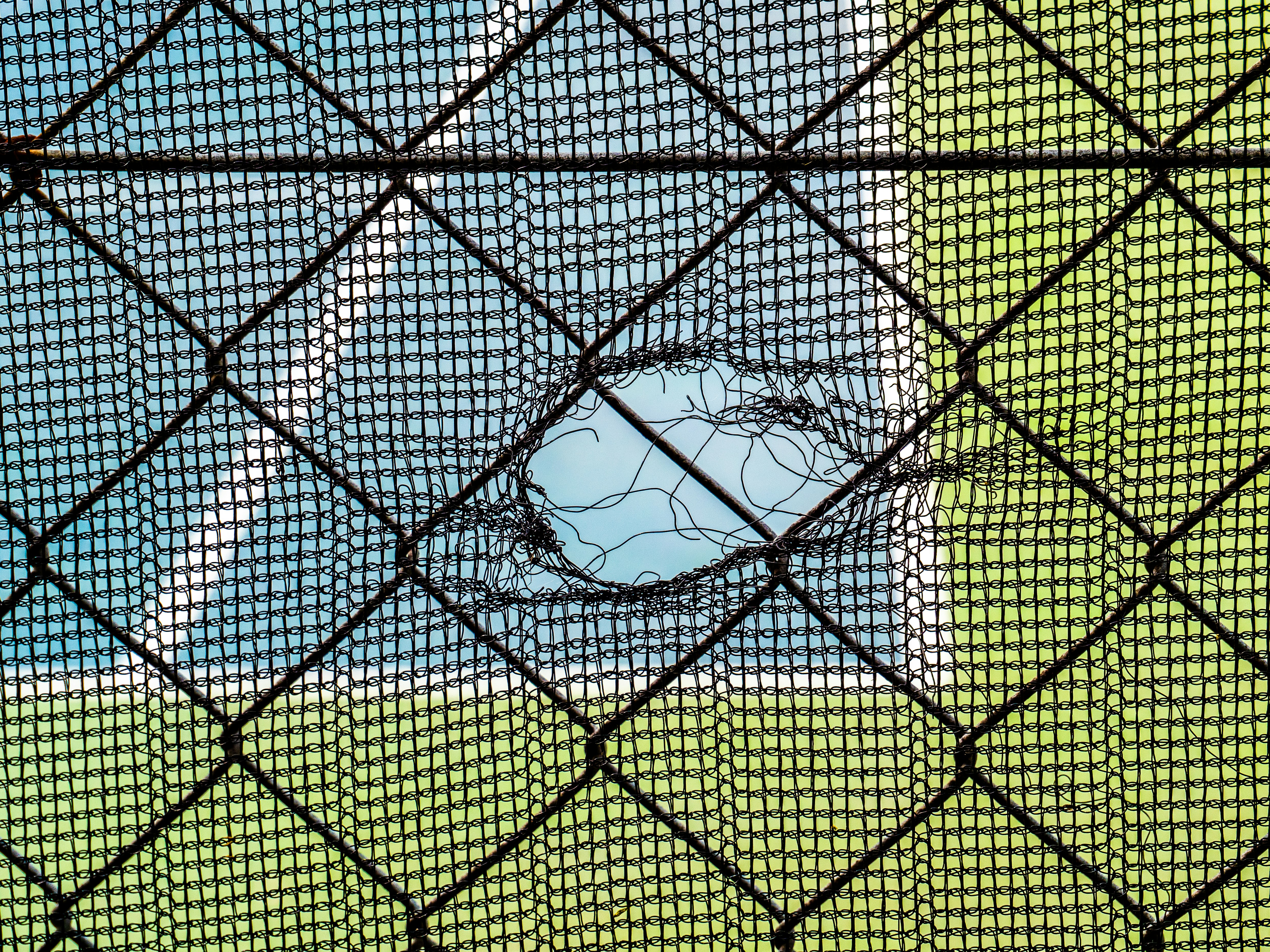 Fractured Perspectives: A Glimpse Through the Net