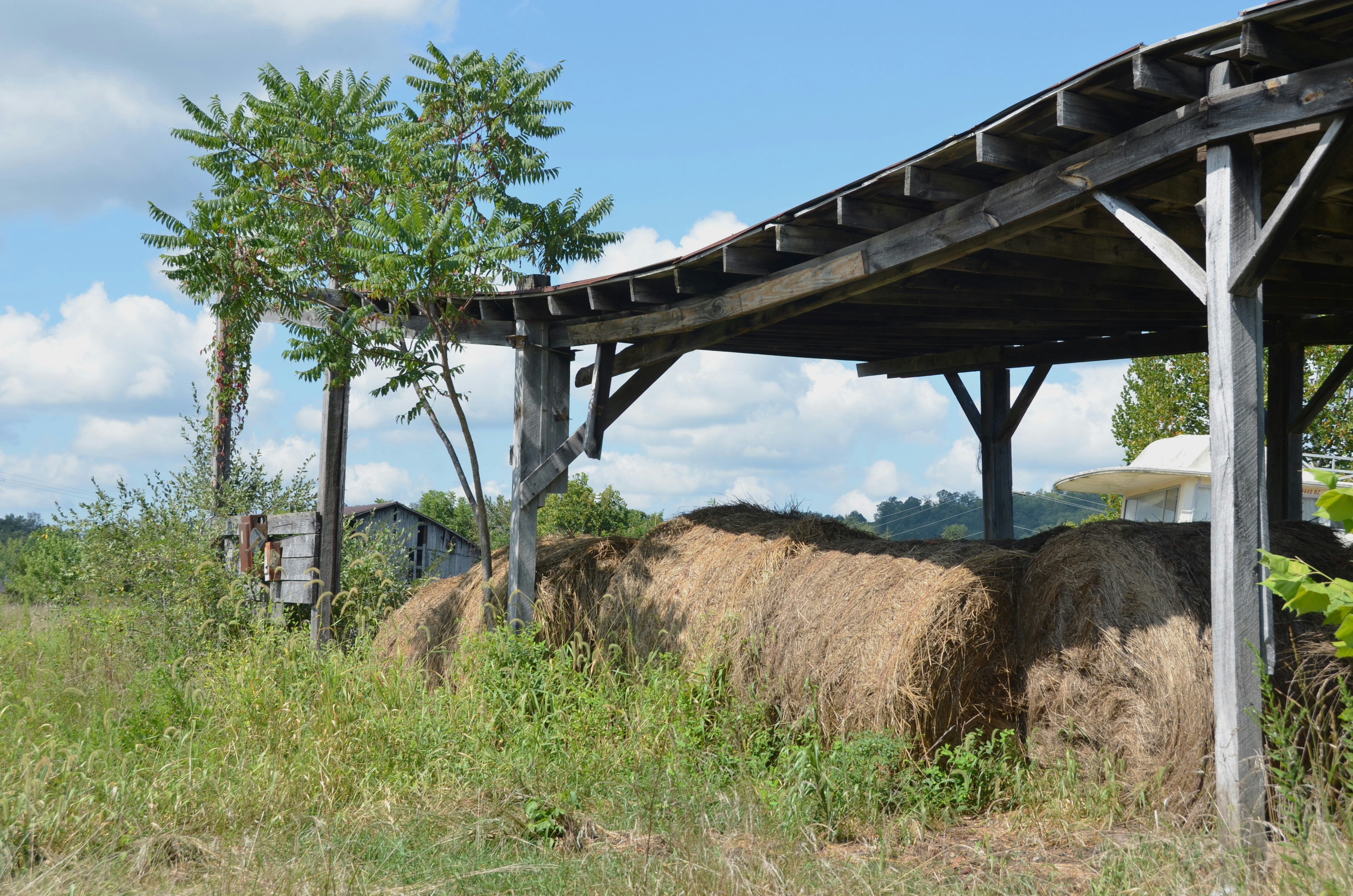 Whispers of the Harvest: A Rustic Retreat