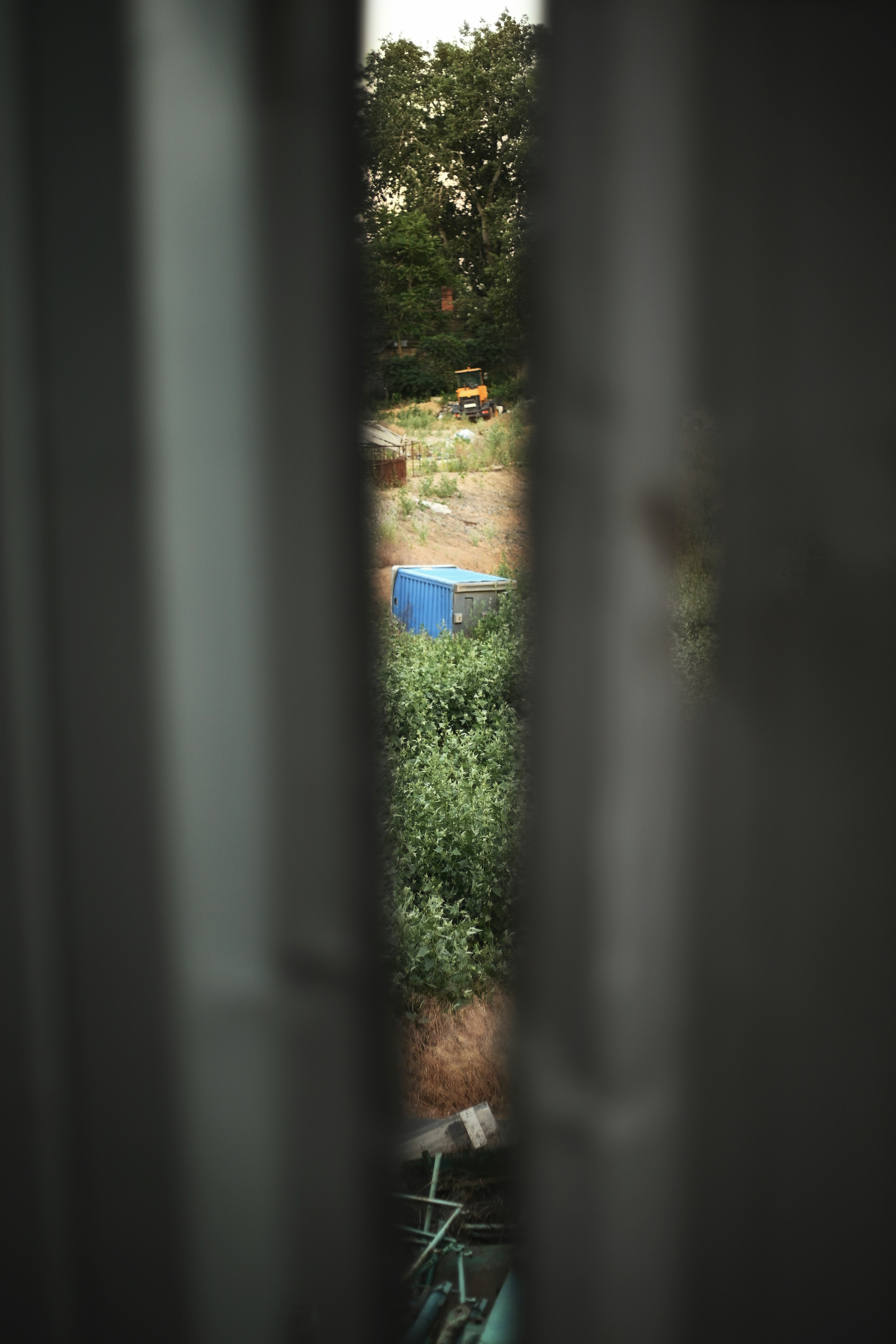 Through the Gaps: A Glimpse of Abandonment