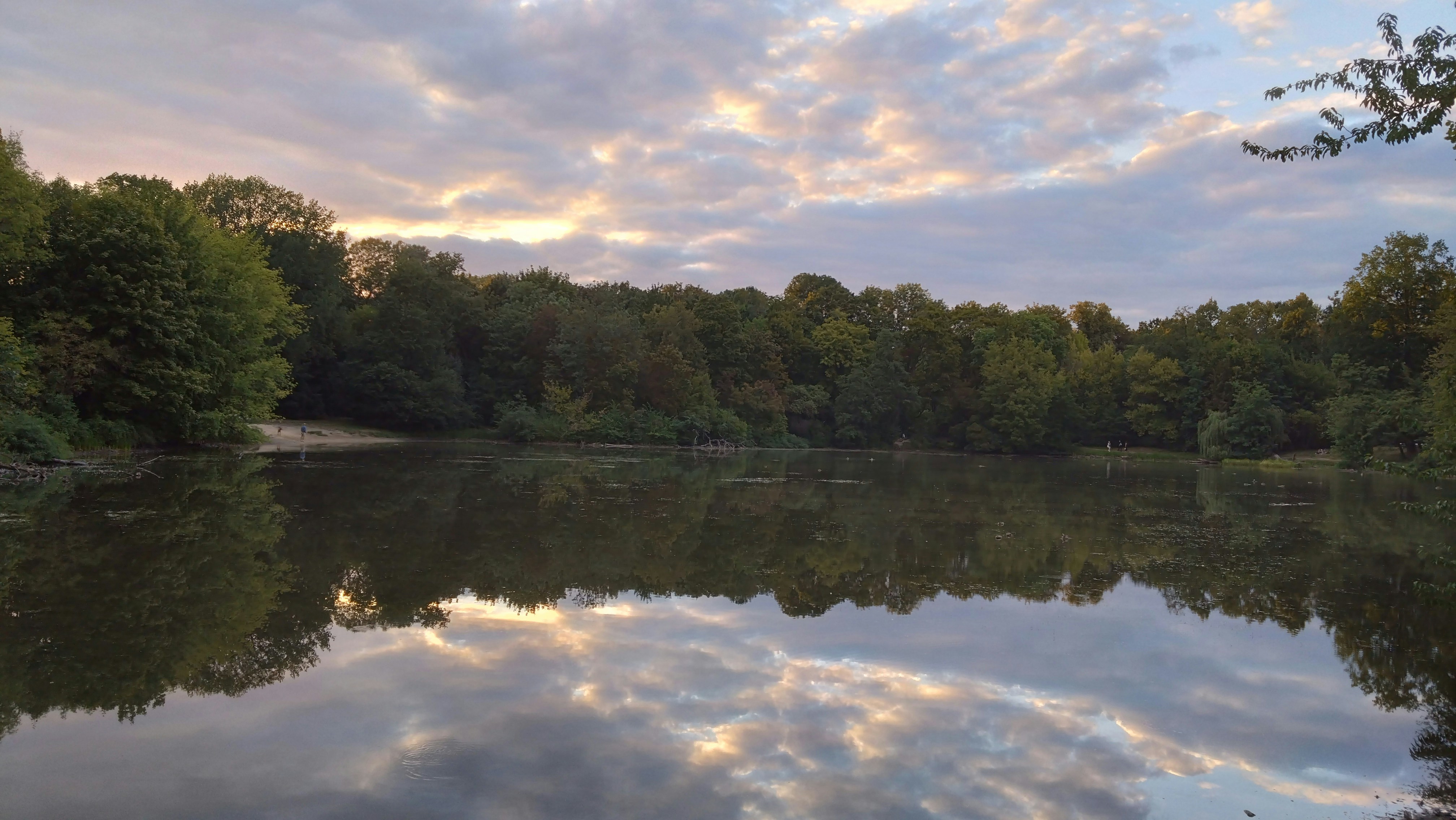 Calm lake reflecting trees and cloudy sky at dusk