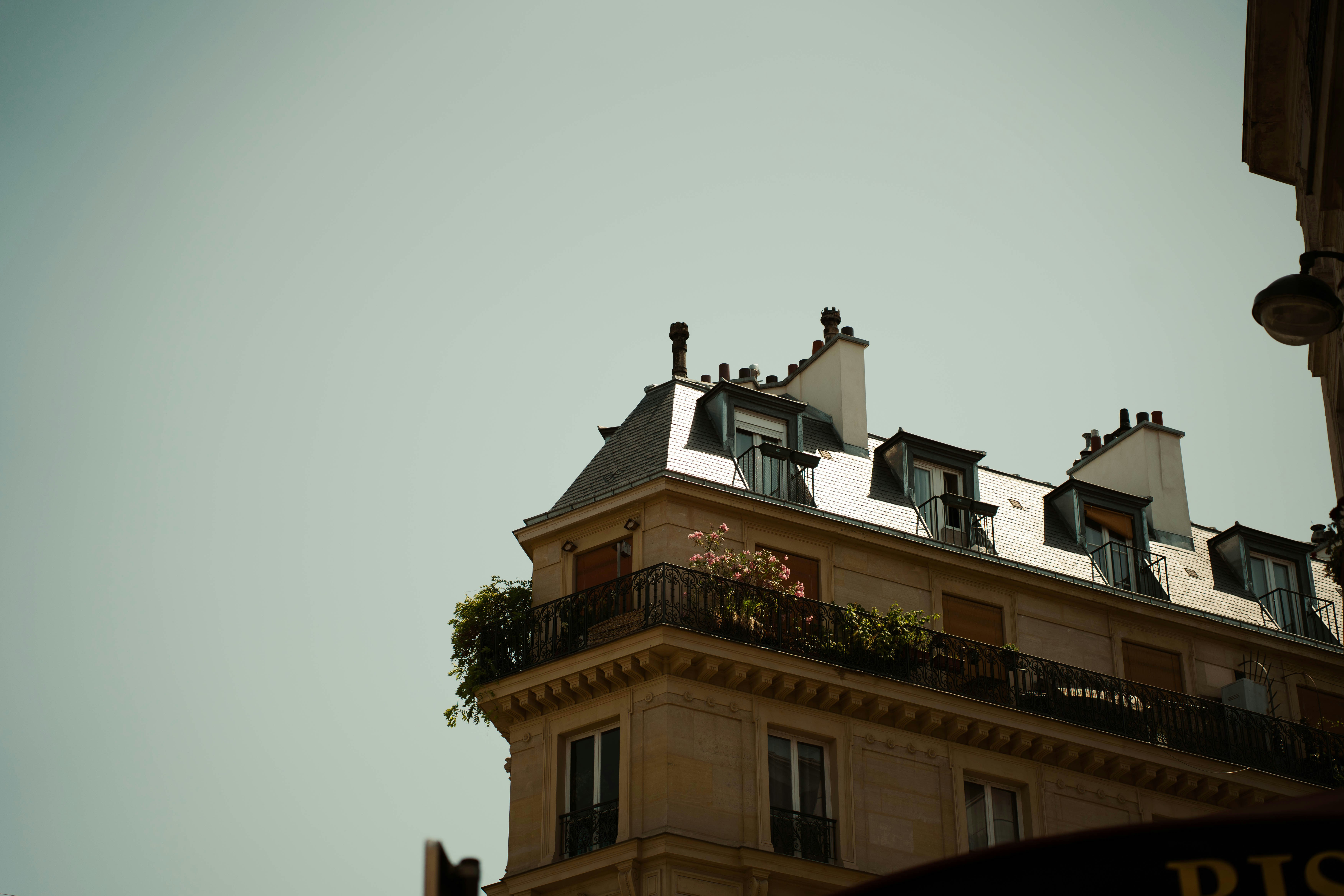Charming Parisian rooftop adorned with greenery, showcasing classic architectural details under a clear sky.