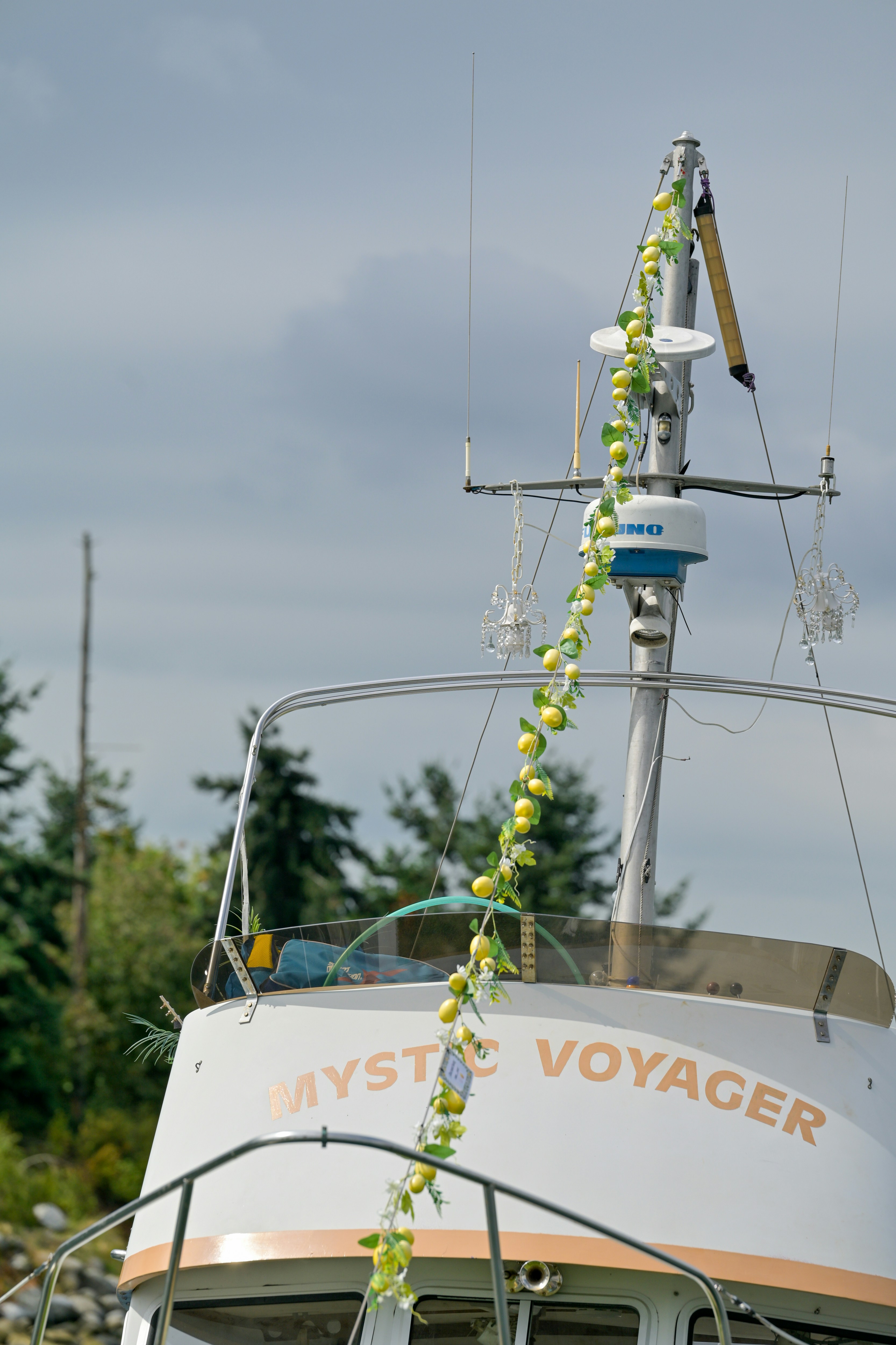 Boat decorated with a garland of green apples