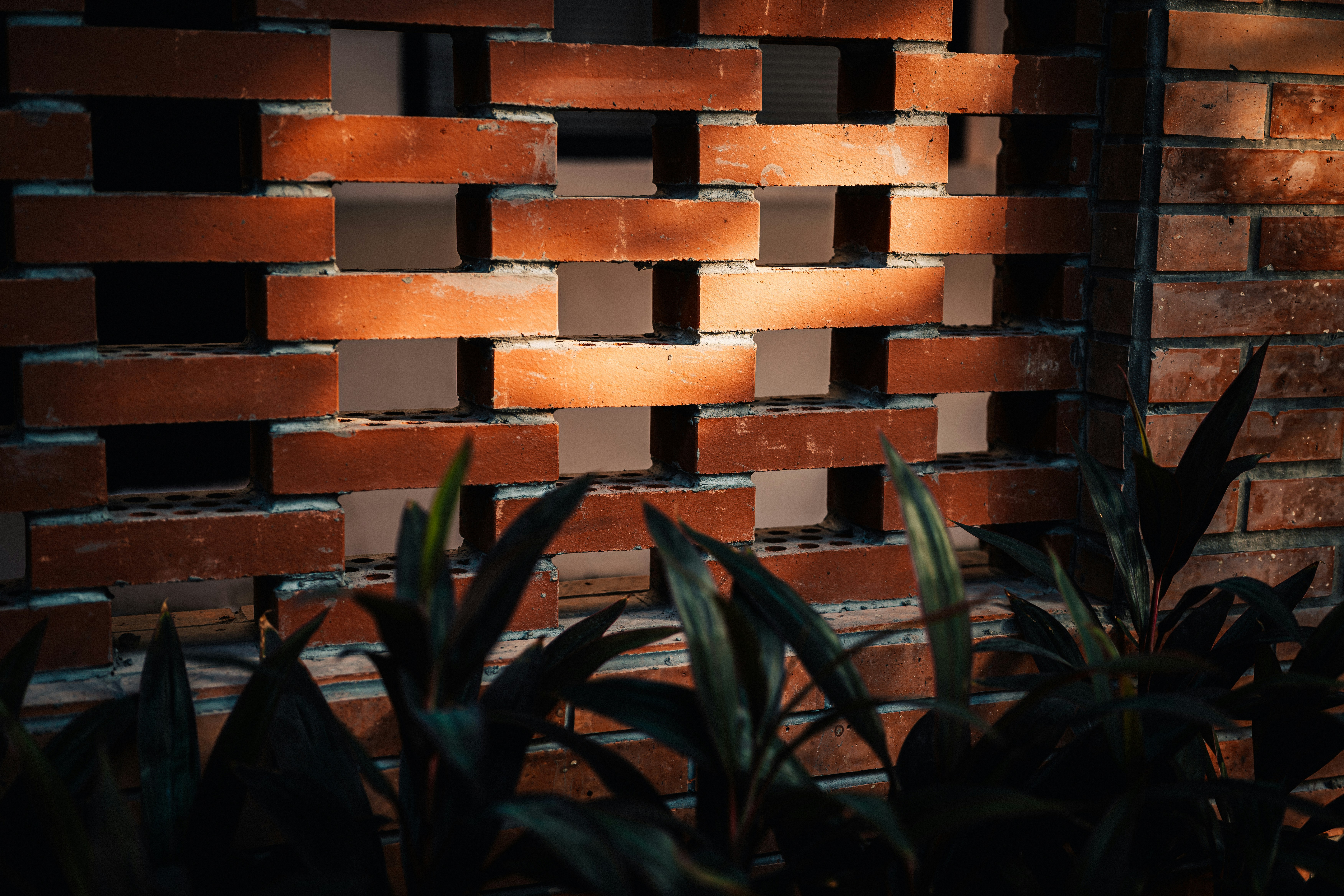 Architectural Harmony: A Dance of Light and Texture