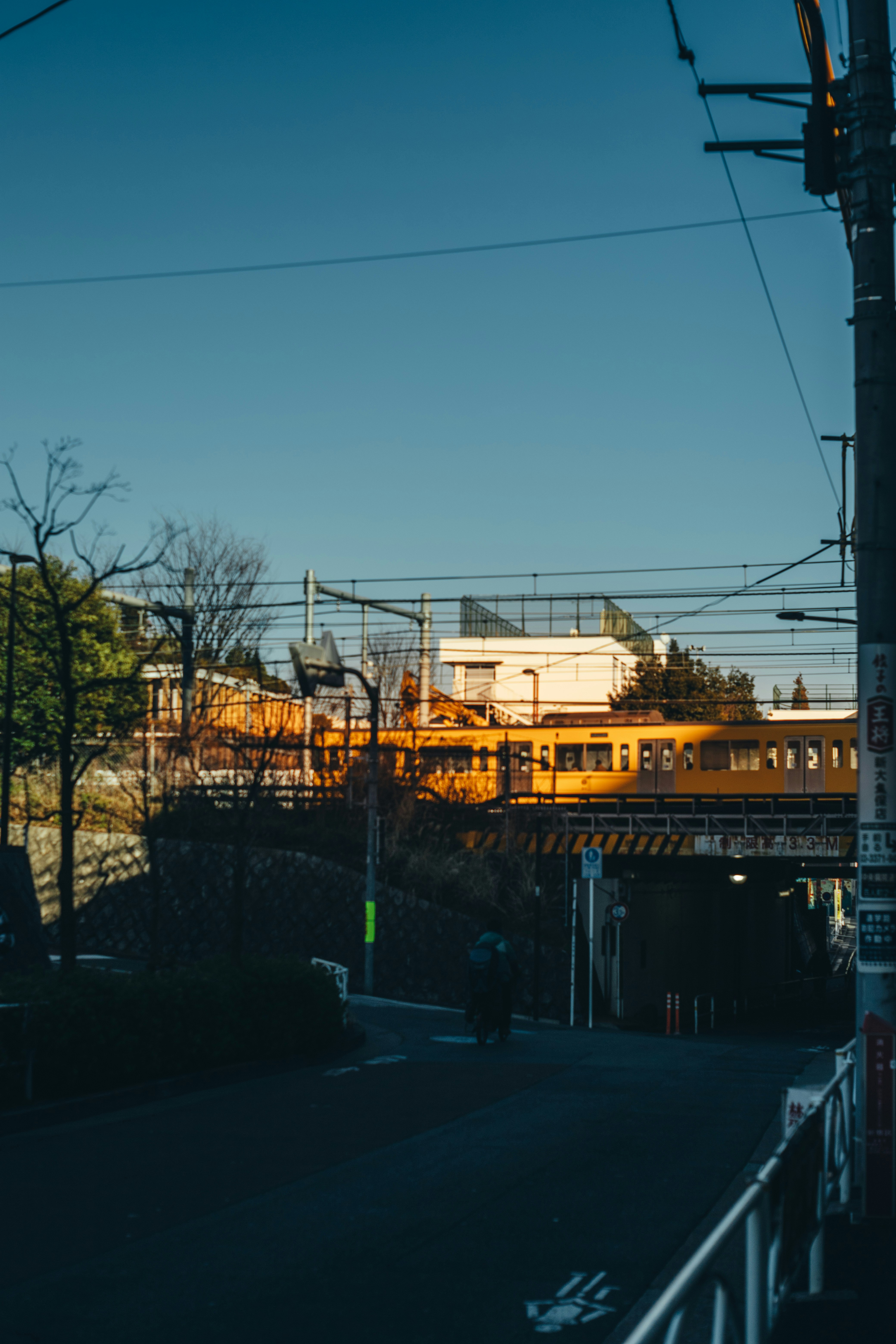 Urban Transit Harmony: A Glimpse of Daily Life