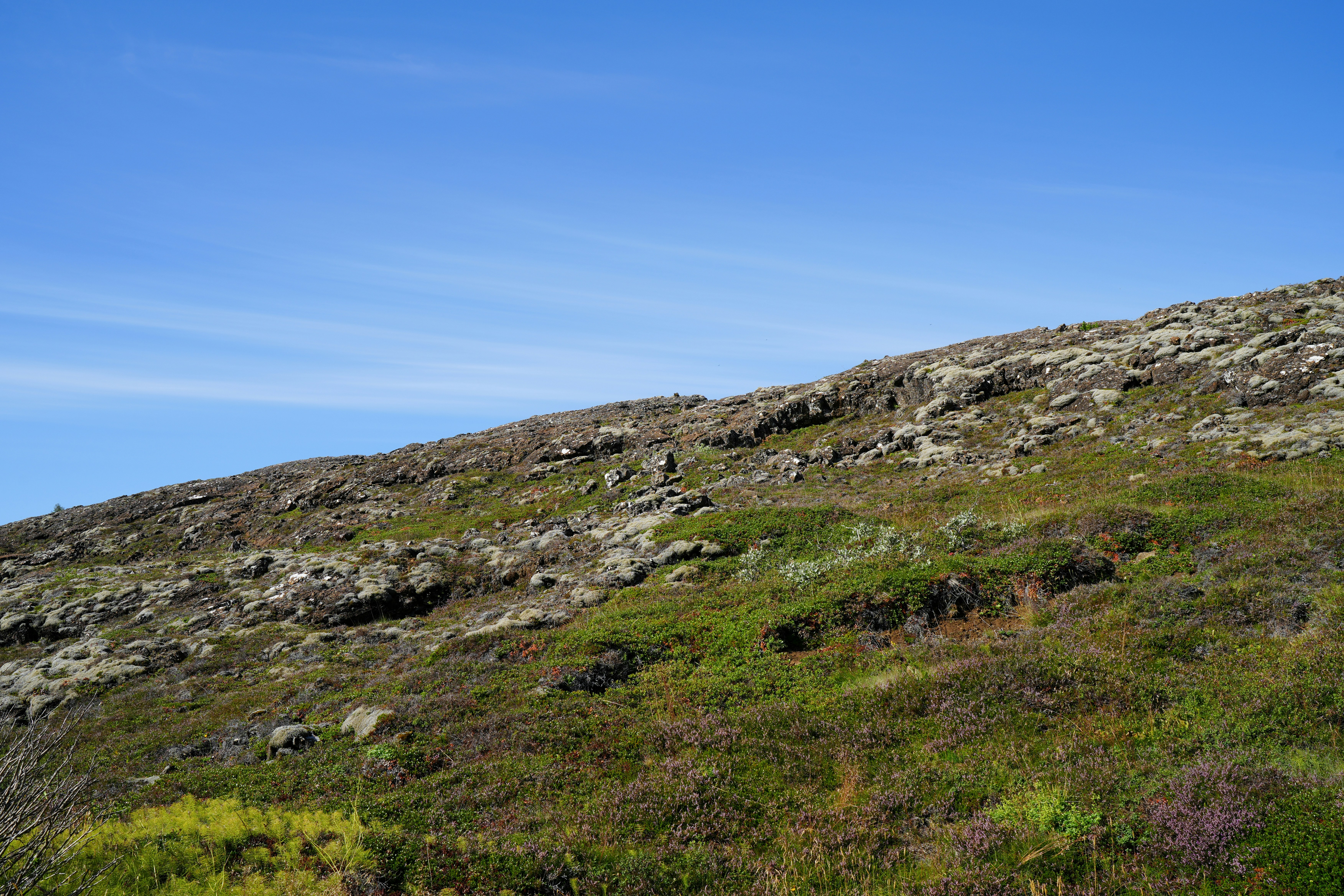 Rocky hillside covered in green vegetation under a blue sky