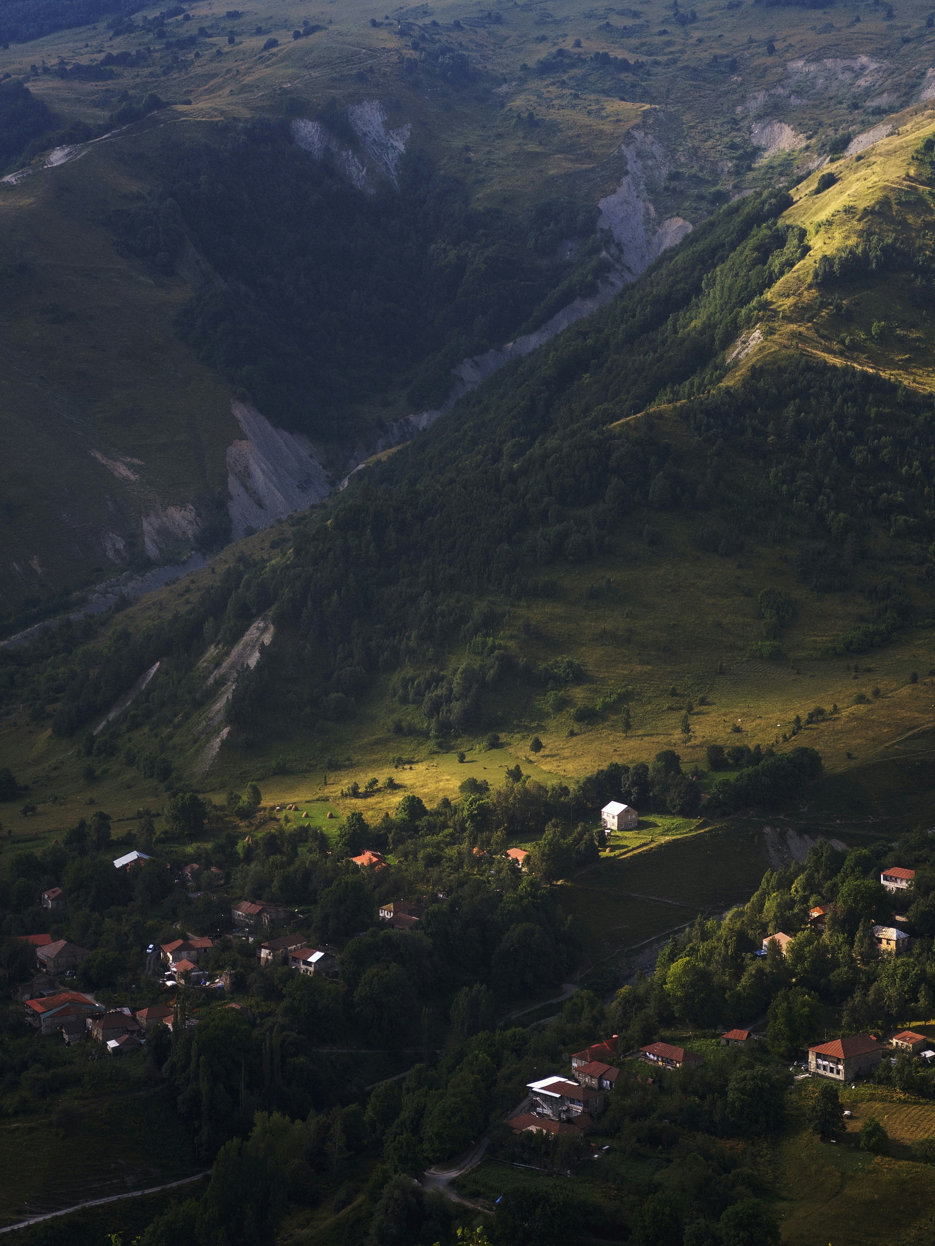 Verdant Valleys: A Tapestry of Nature and Settlement
