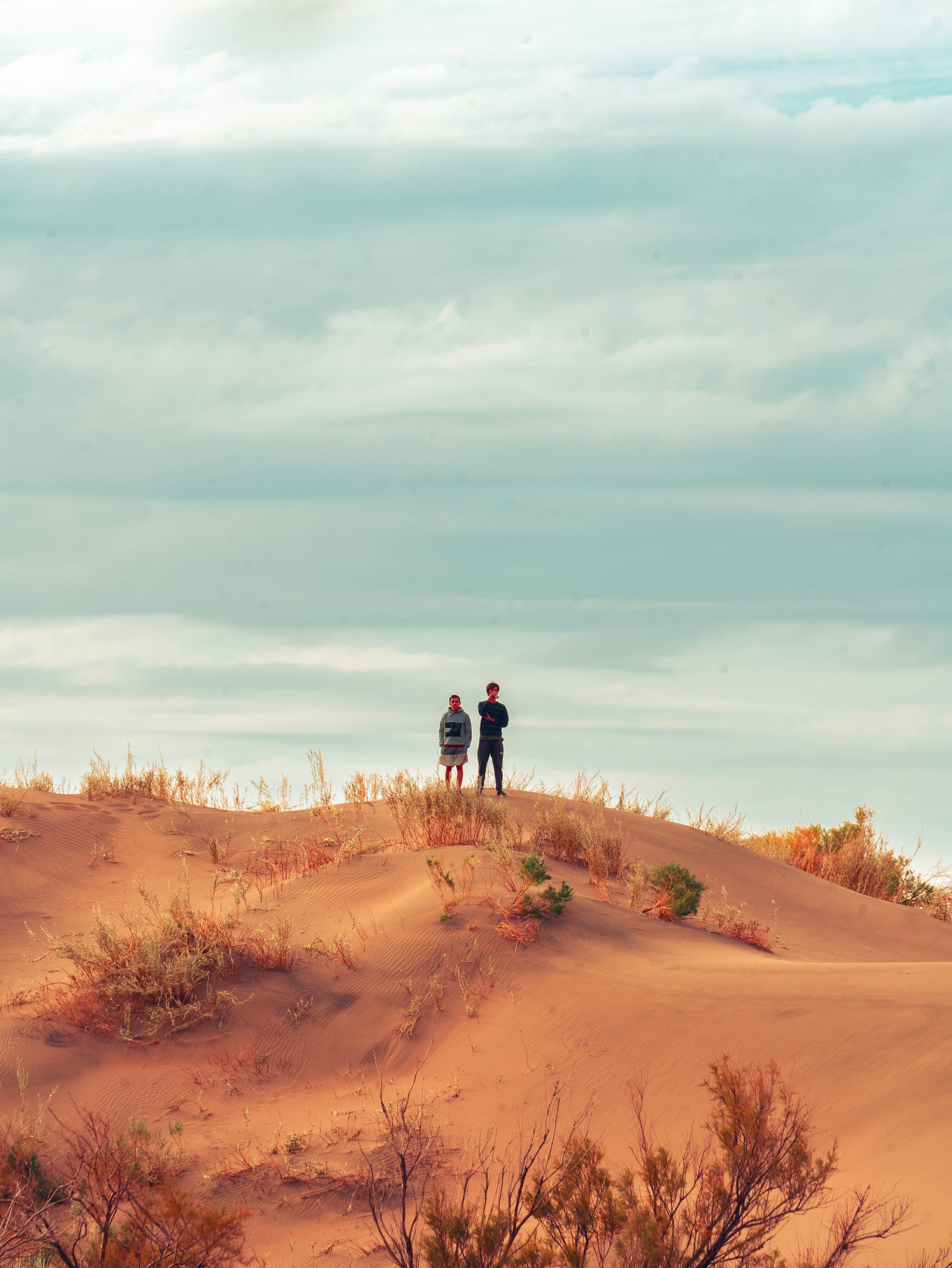 Dune Crest Duo: Two Travelers Beneath a Layered Desert Sky