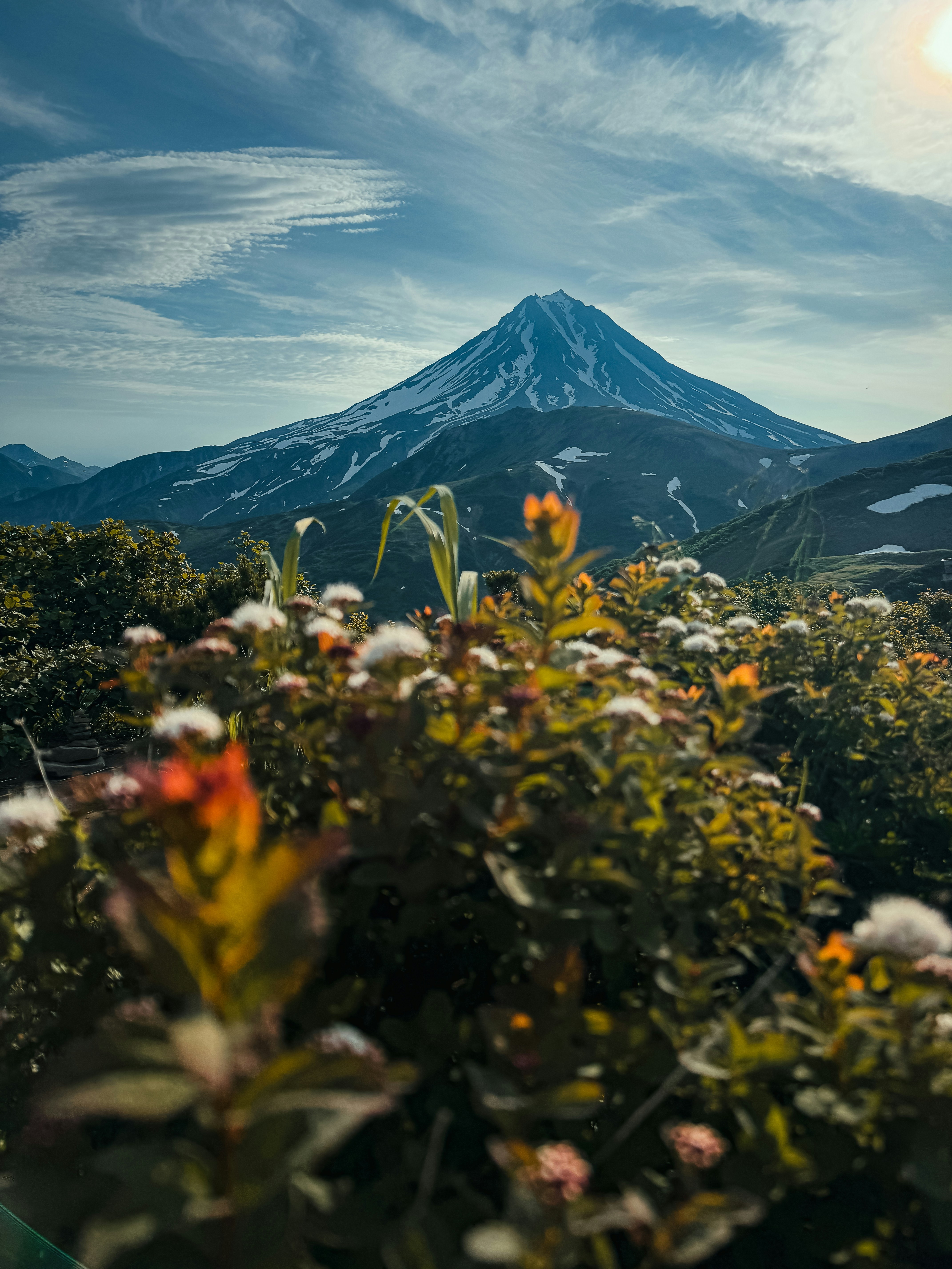 Vibrant wildflowers in the foreground frame a towering snow-capped mountain under a serene sky. The scene captures the harmony of flora and rugged terrain.