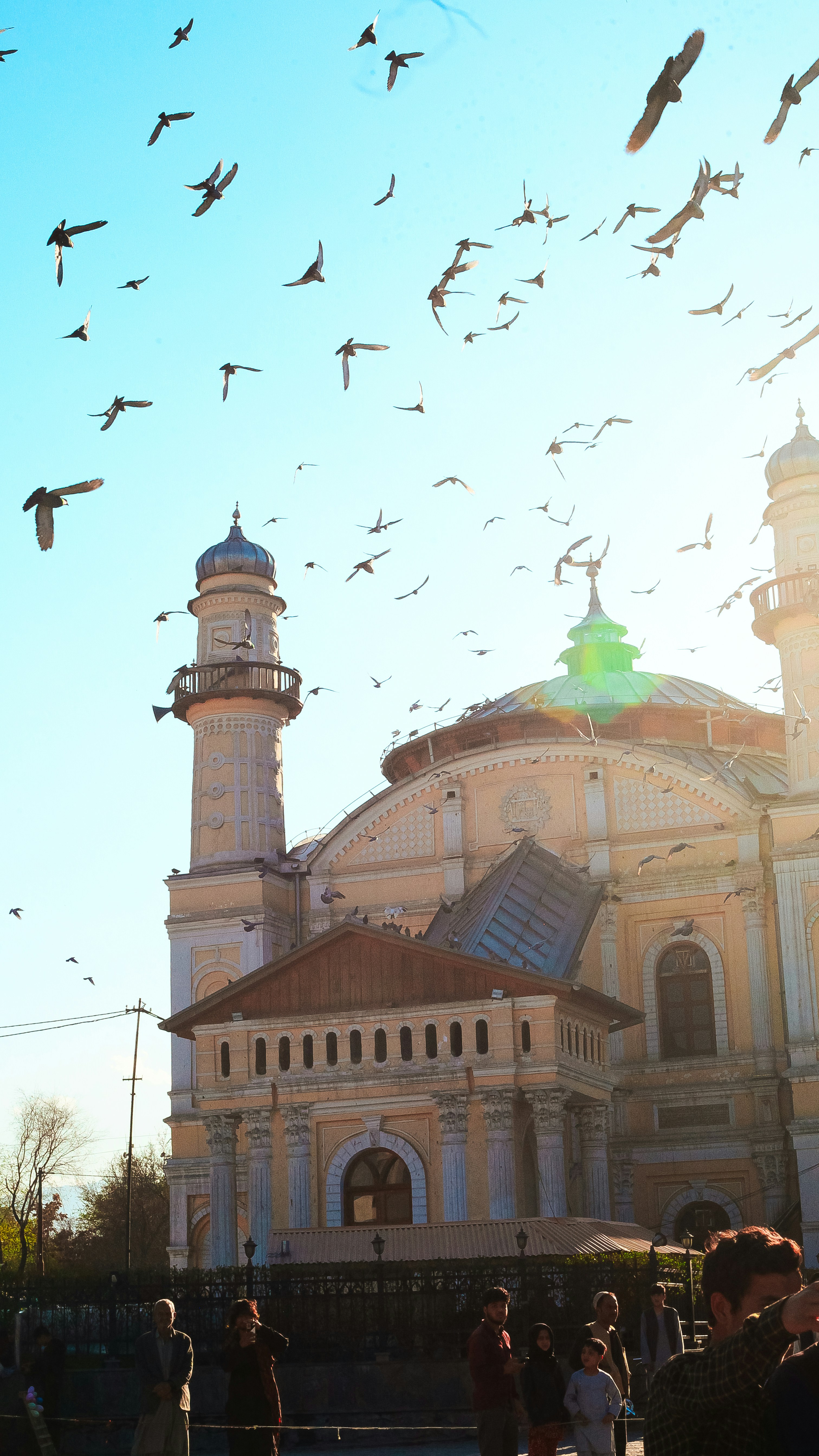 Harmony of Flight and Faith