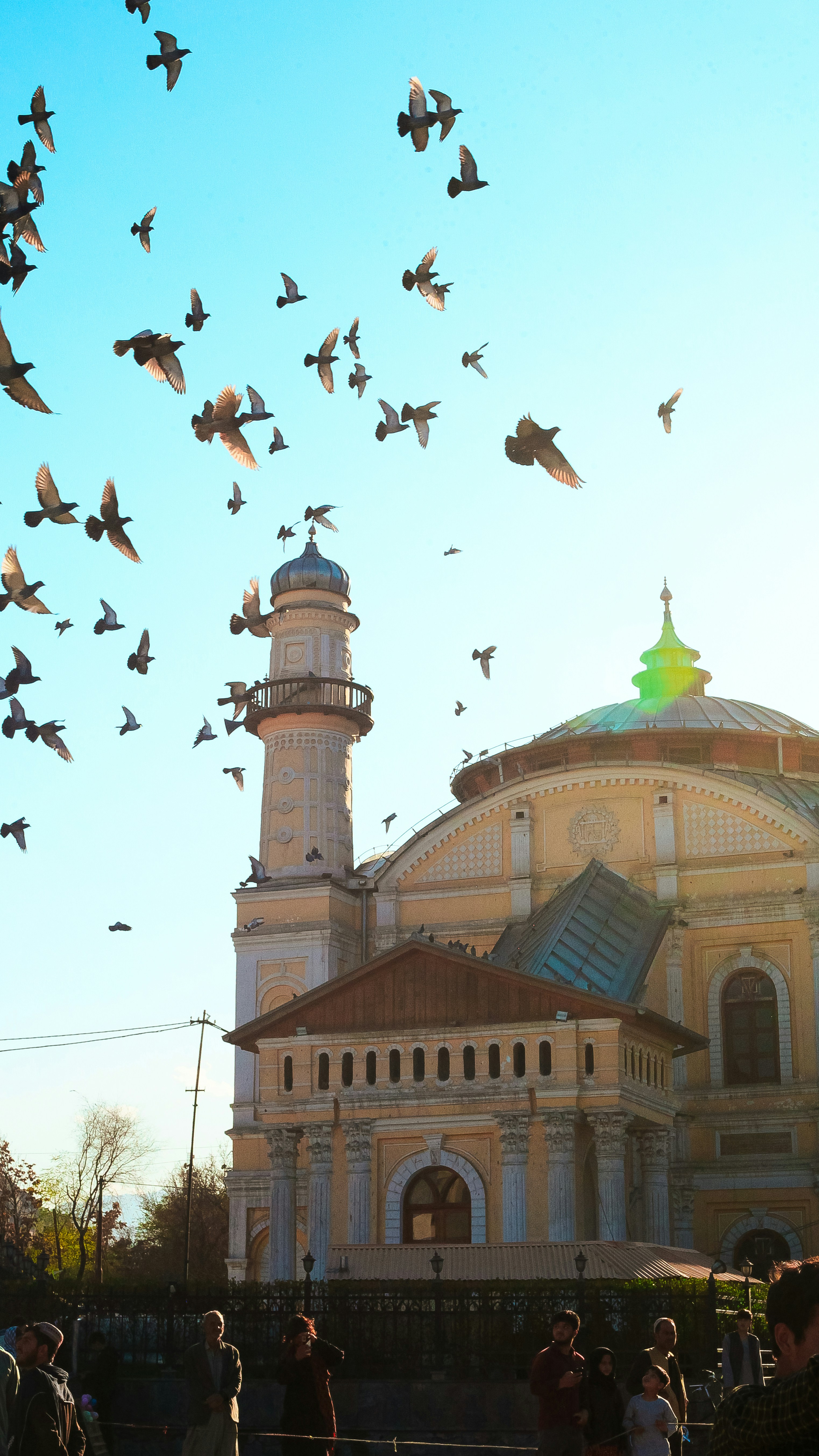 Harmony in Flight: A Dance of Pigeons Above the Mosque