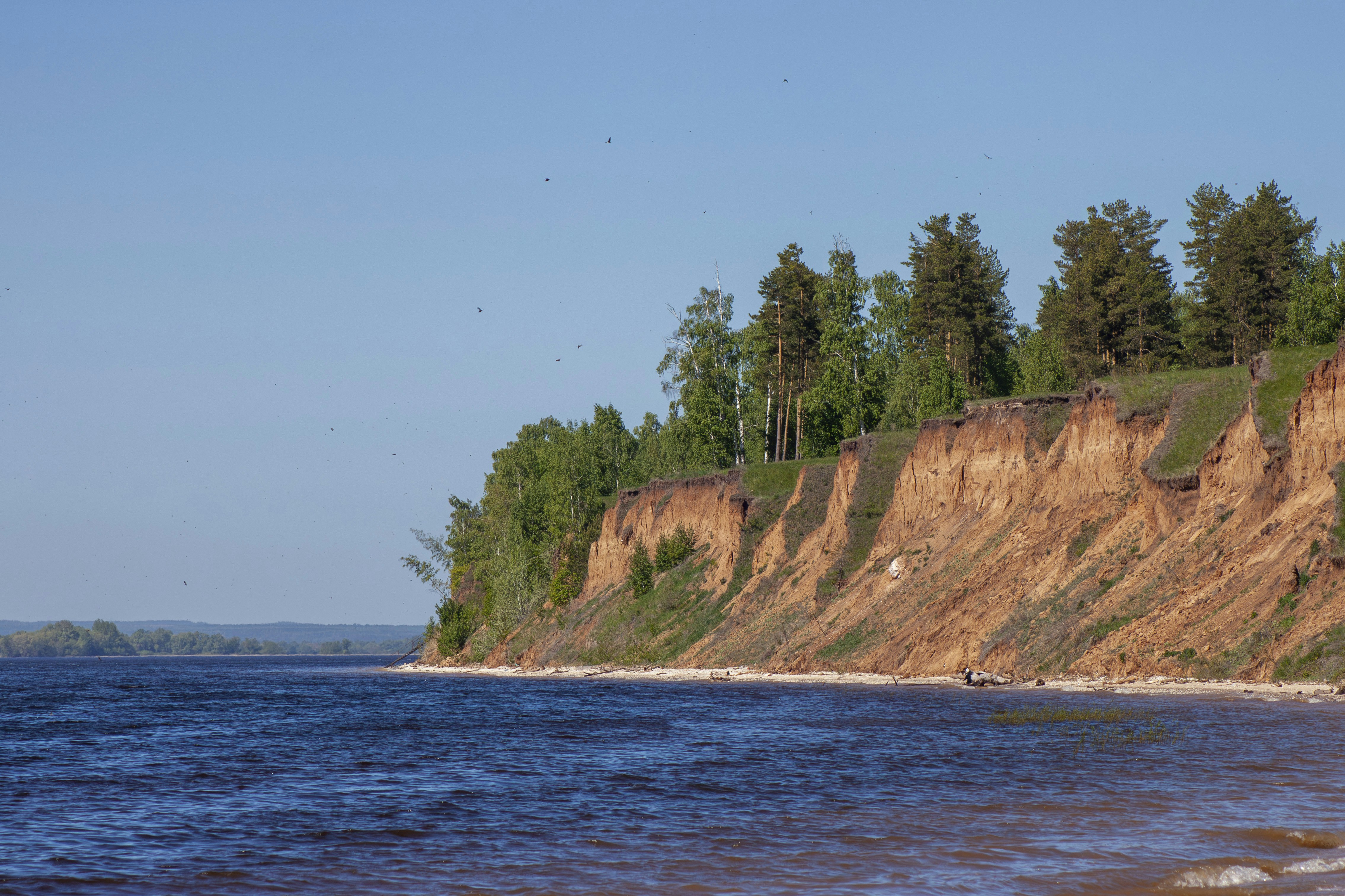 Erosion's Embrace: The Riverbank's Silent Tale