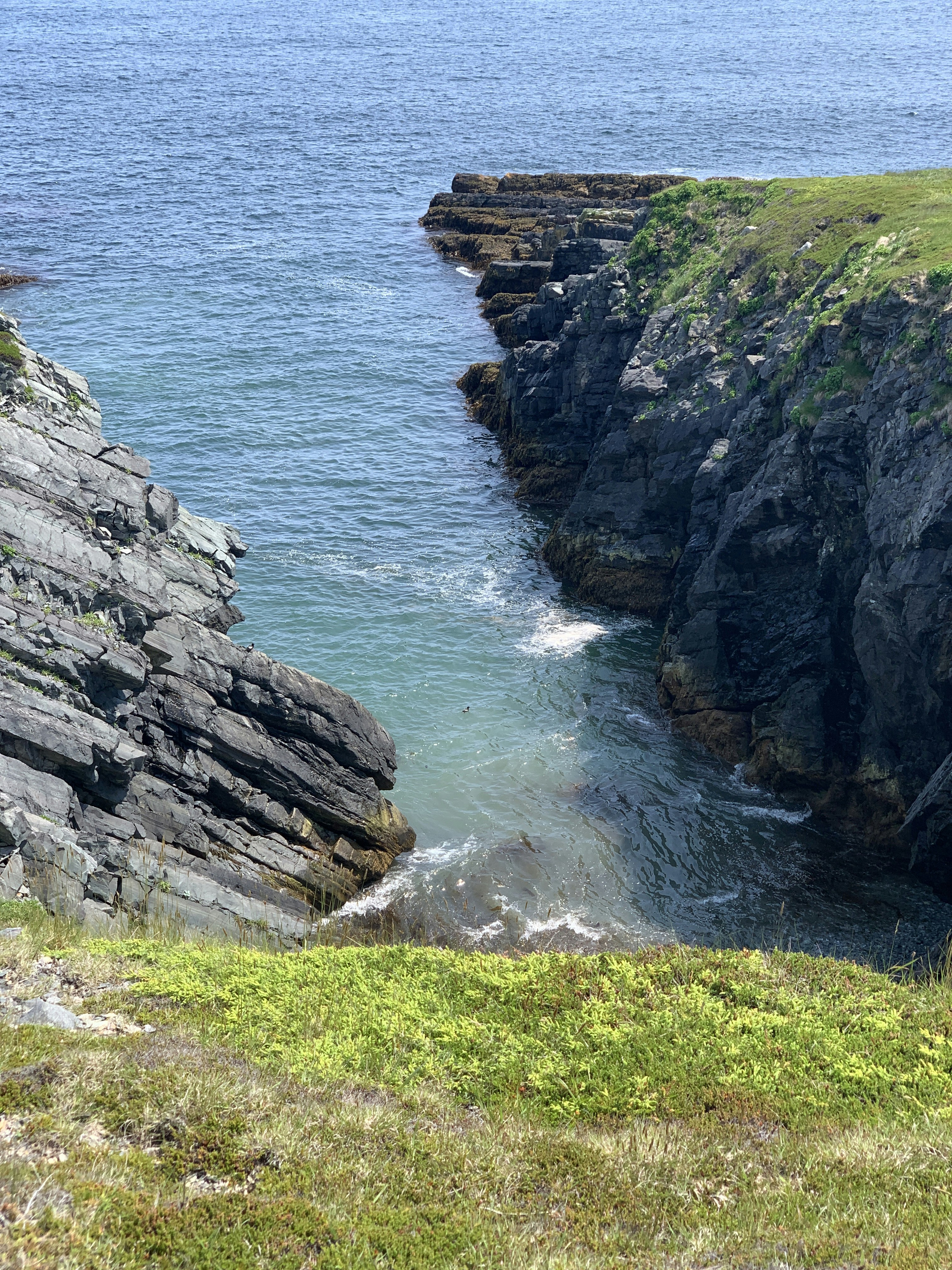 Rocky cliffs frame a tranquil inlet where the ocean meets the land, showcasing the interplay of water and stone. The lush greenery adds a touch of vibrancy to the coastal scene.