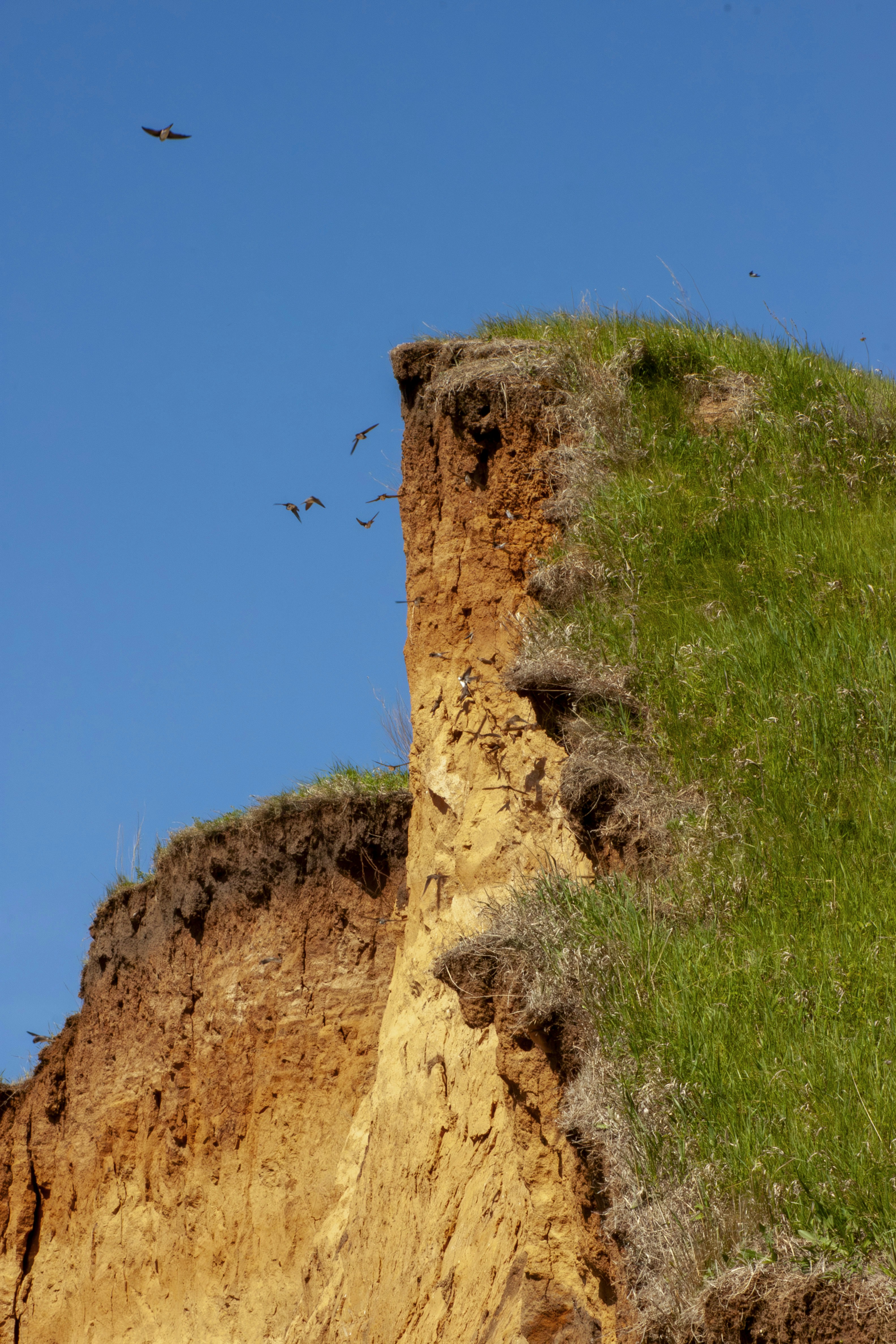 Echoes of Nature's Edge