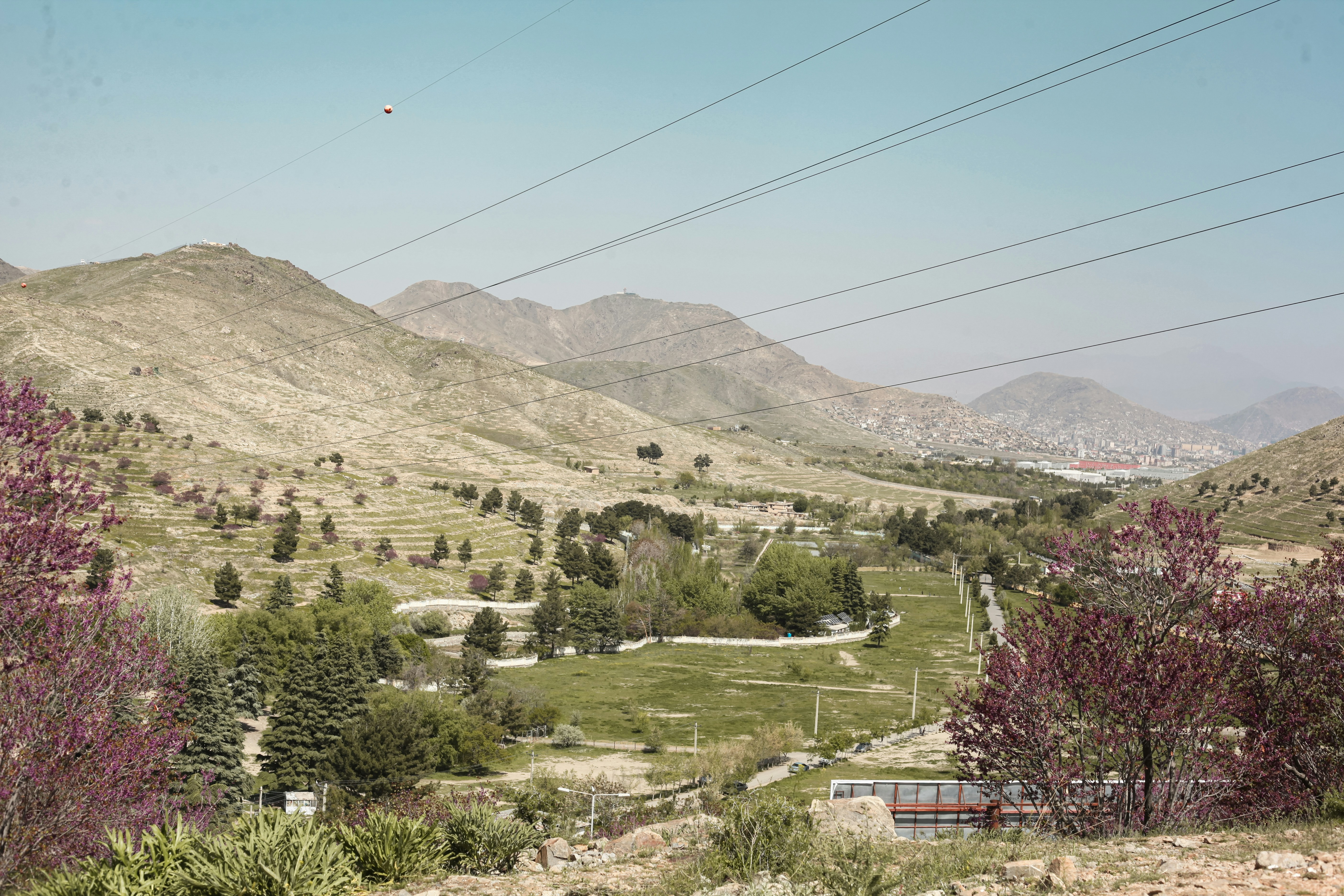 Lush green valley interspersed with blooming trees and rolling hills under a clear sky. Power lines stretch across the landscape.