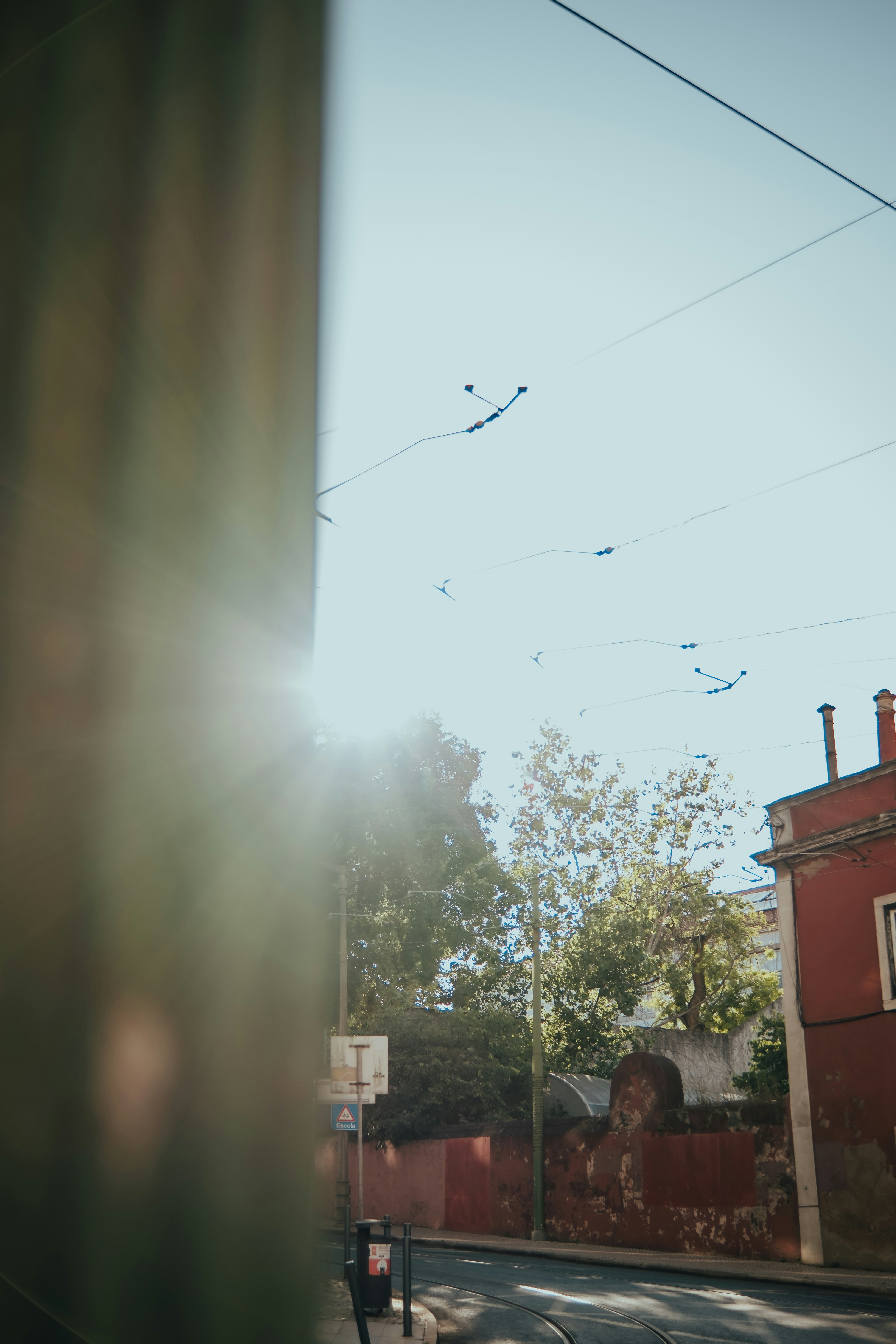 Sunlight streams through trees onto a city street.