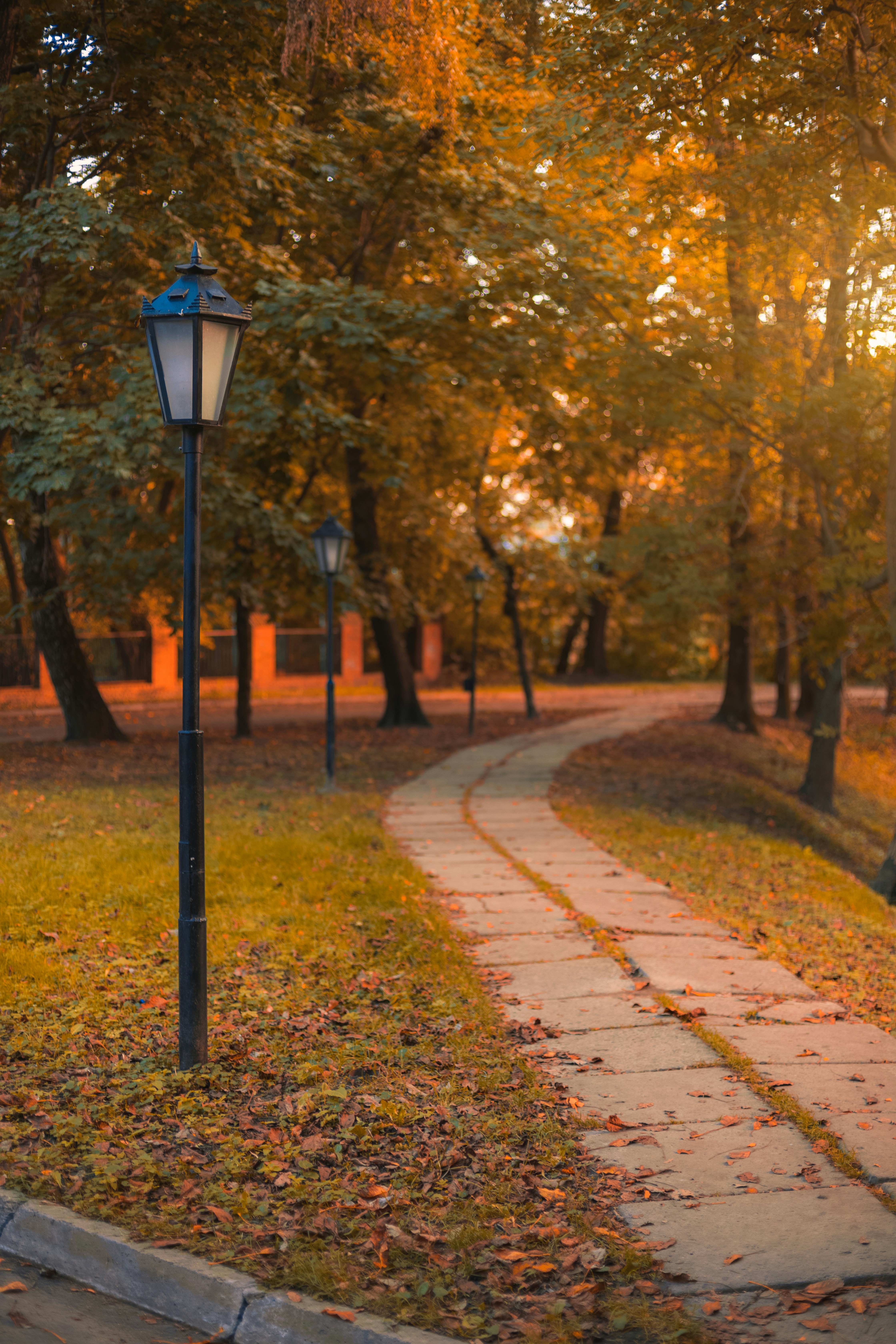 autumn October picturesque street sun light glare falling leaves and lantern orange fall season aesthetic vertical photography | A winding path through an autumn park with lampposts.