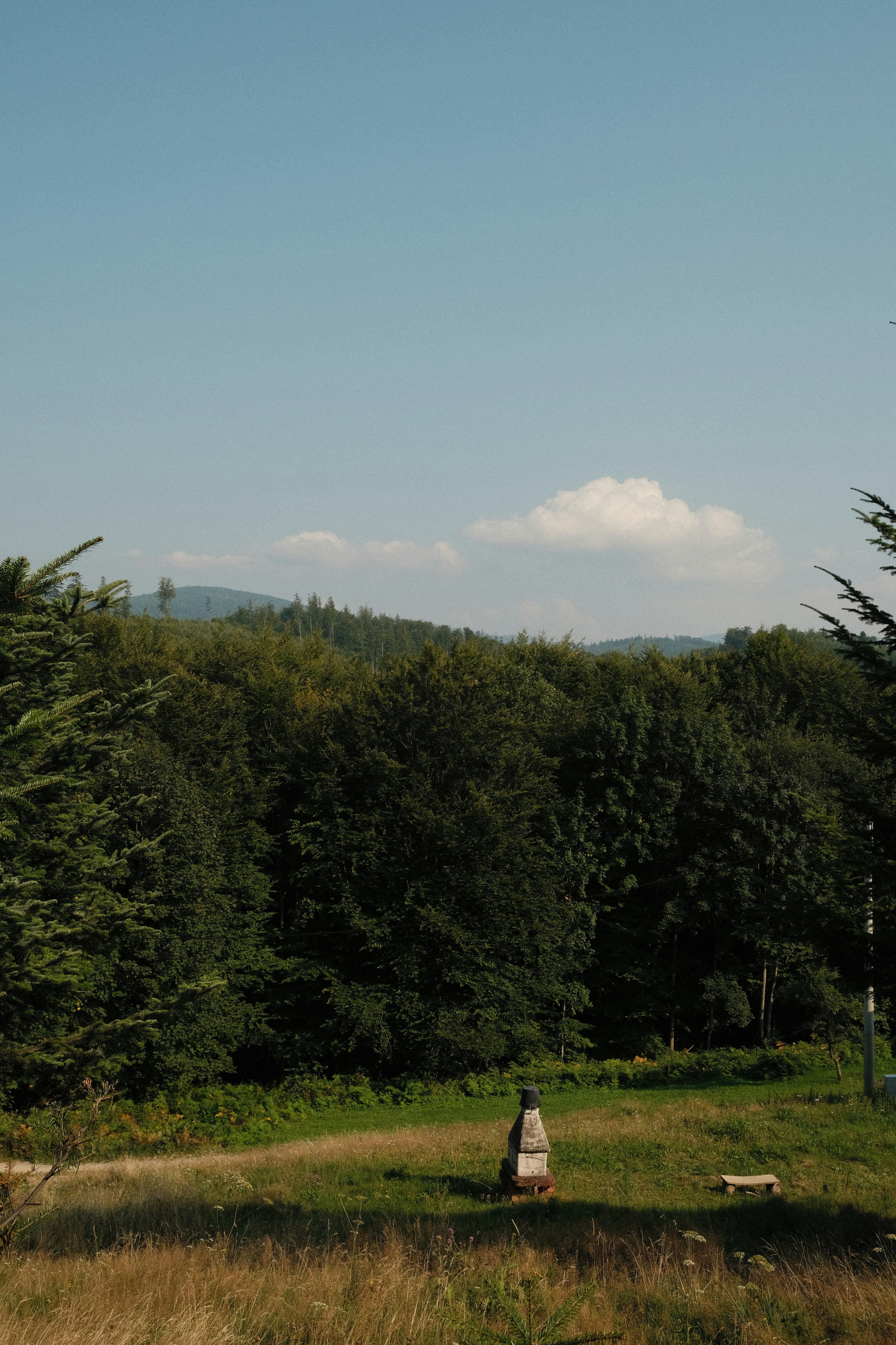 A lone figure stands in a serene meadow, surrounded by lush greenery and distant hills under a clear blue sky.