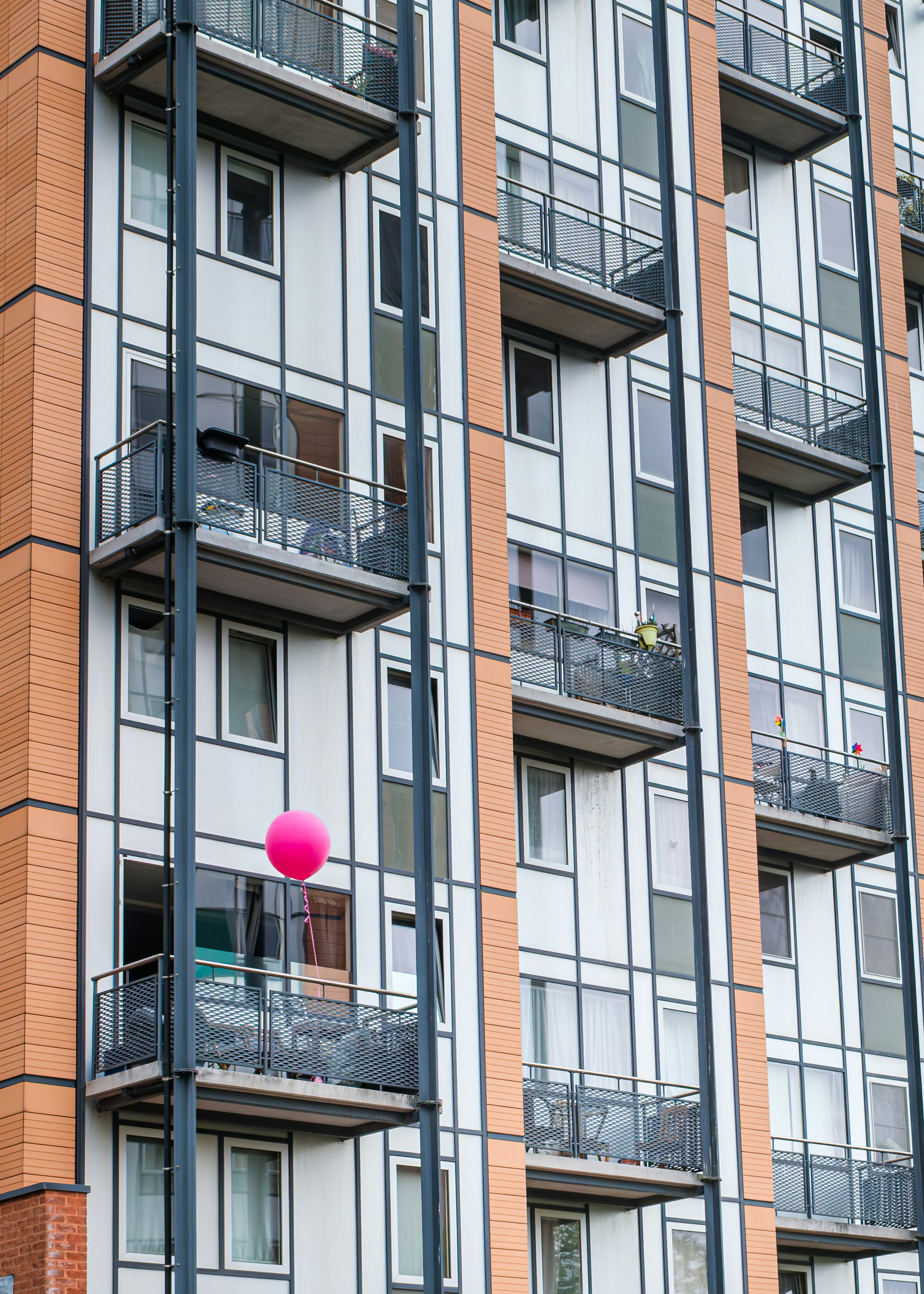 A Pop of Color Amidst Urban Lines