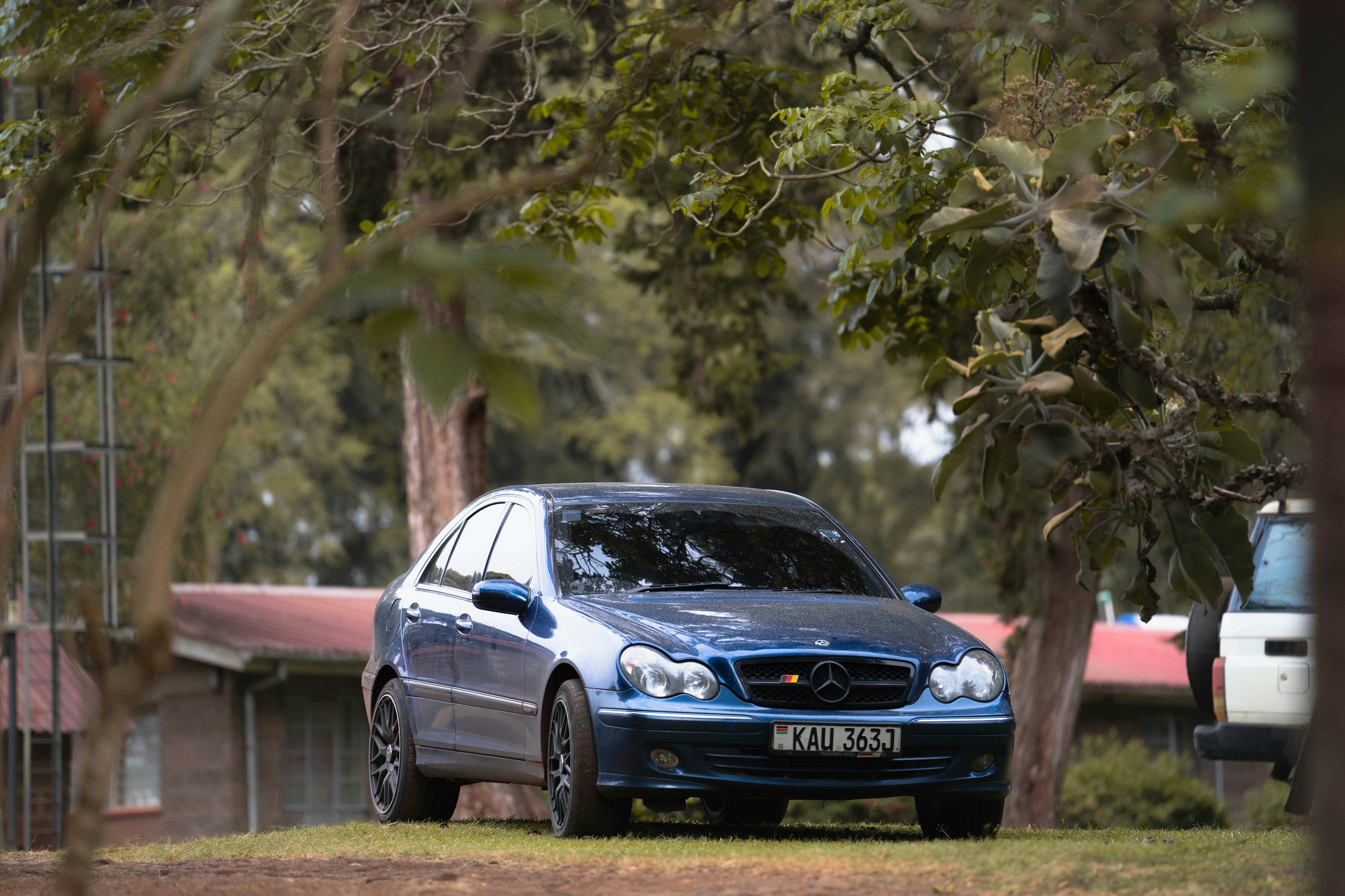 blue car in green trees | Blue mercedes-benz parked near a building