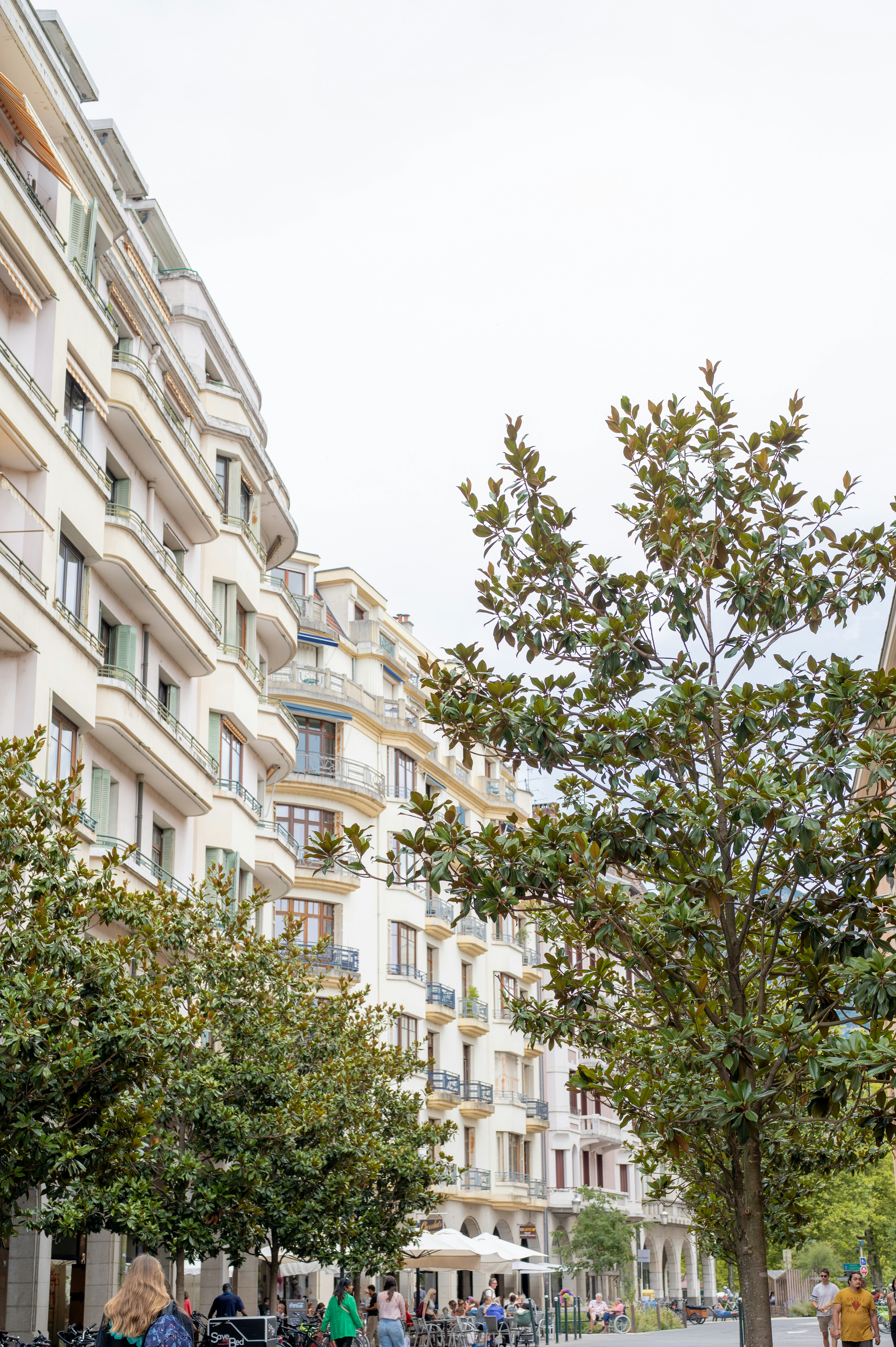 Urban Oasis: A Green Retreat Amidst Architectural Elegance