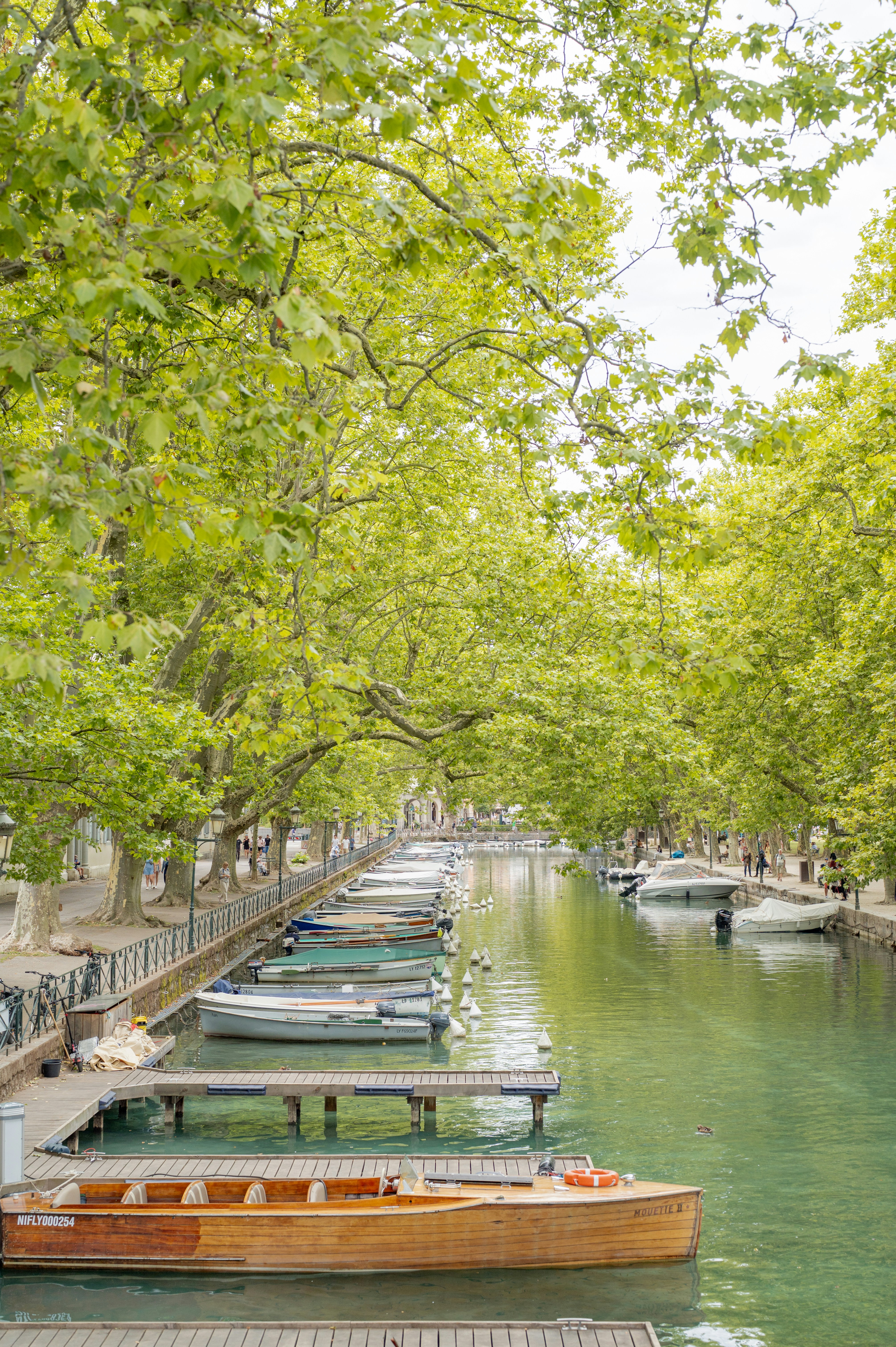 Sunlit Rowboats Fringing a Tree-Lined Canal