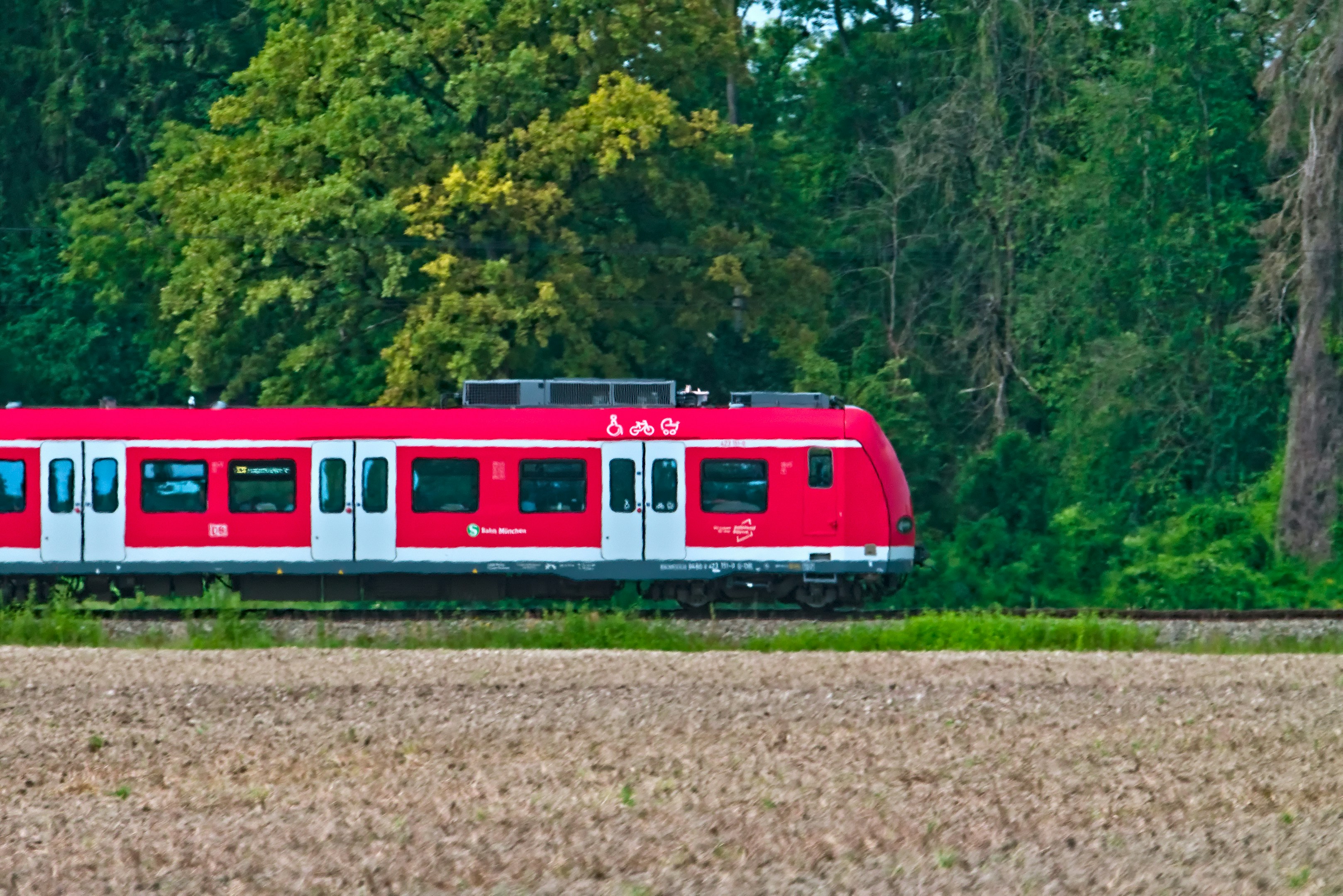 Journey Through Verdant Landscapes