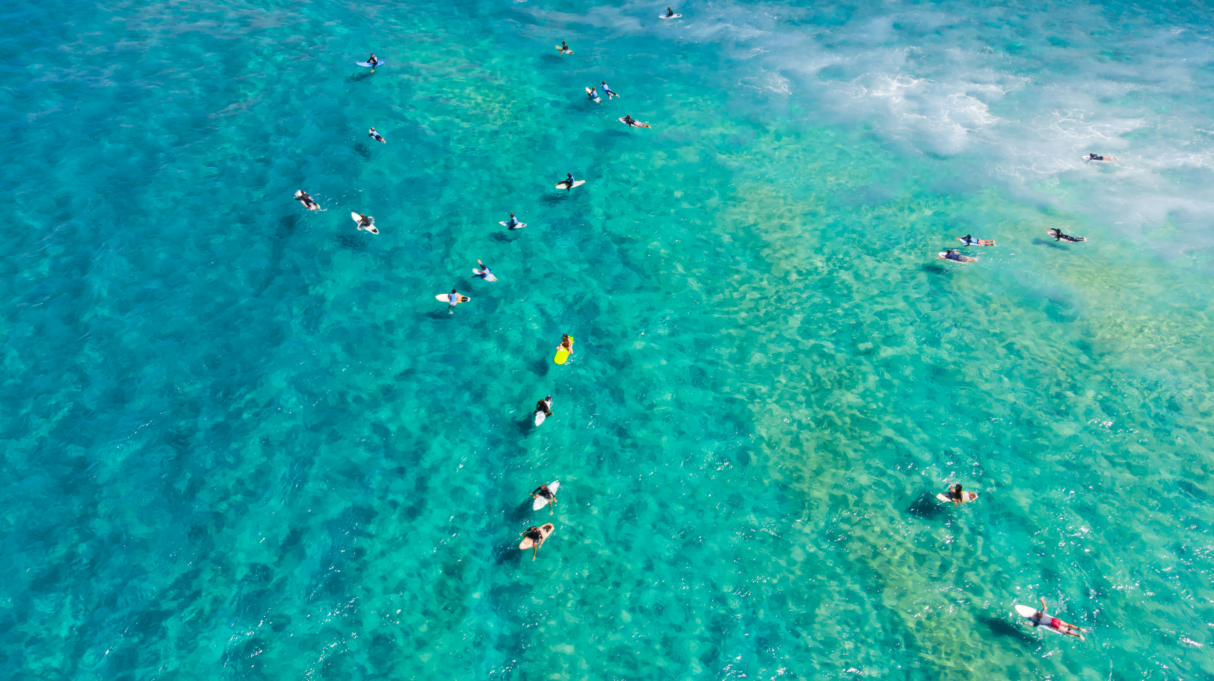 Waiting in line, Bondi, Sydney | Surfers paddling on turquoise ocean waves