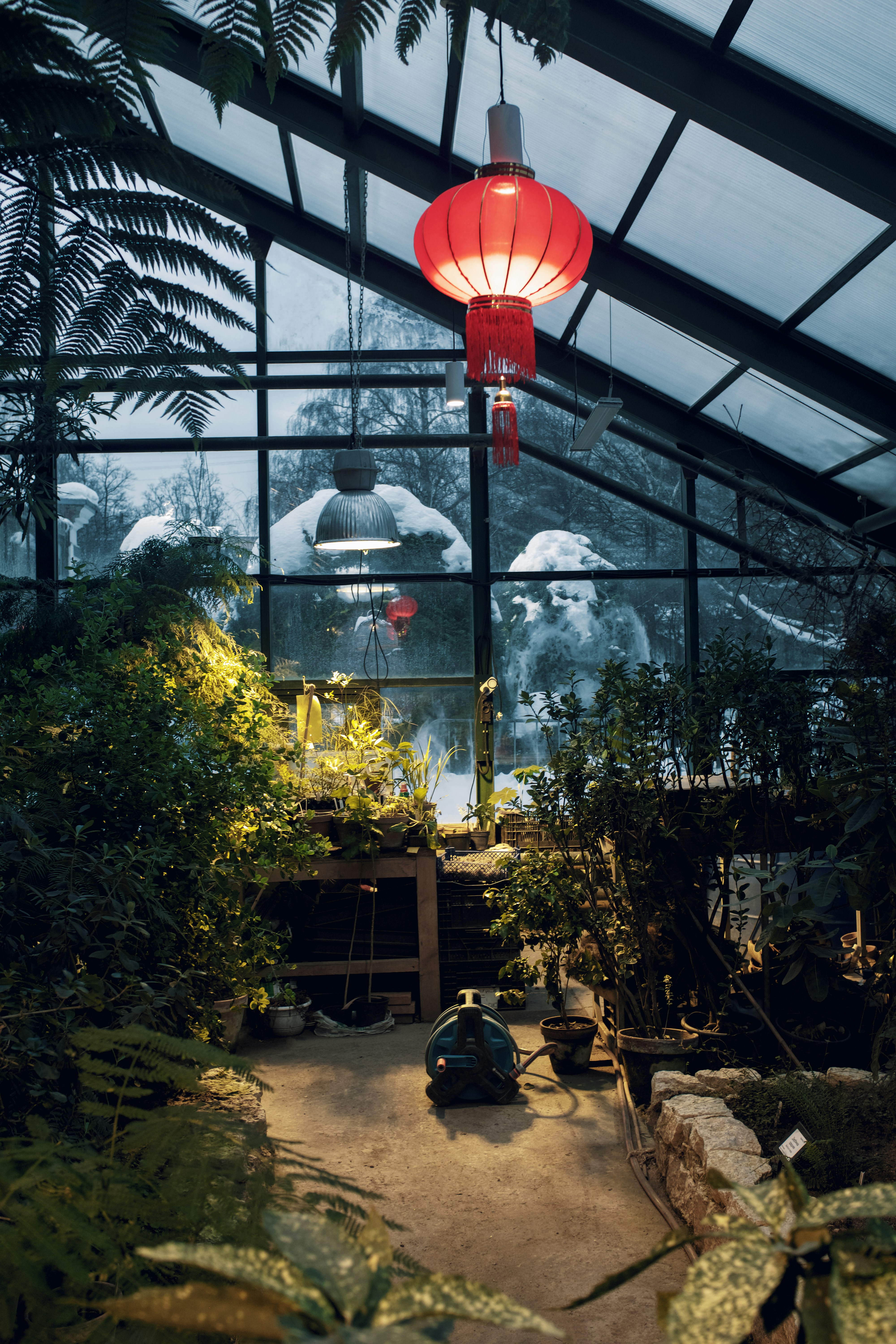 Illuminated Serenity in a Winter Greenhouse