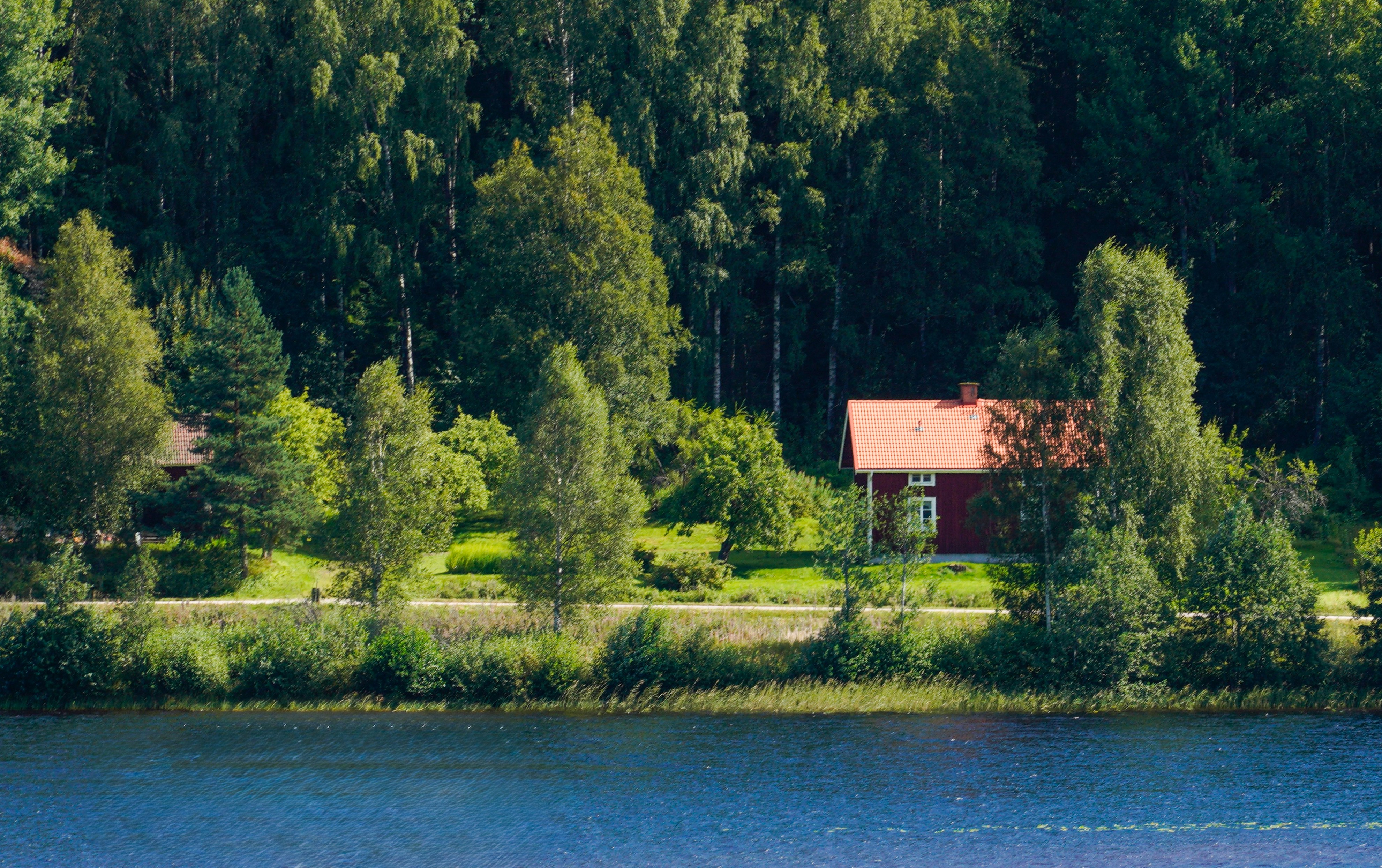 A quaint red house nestled among lush greenery beside a tranquil river, showcasing the harmony of nature and architecture.